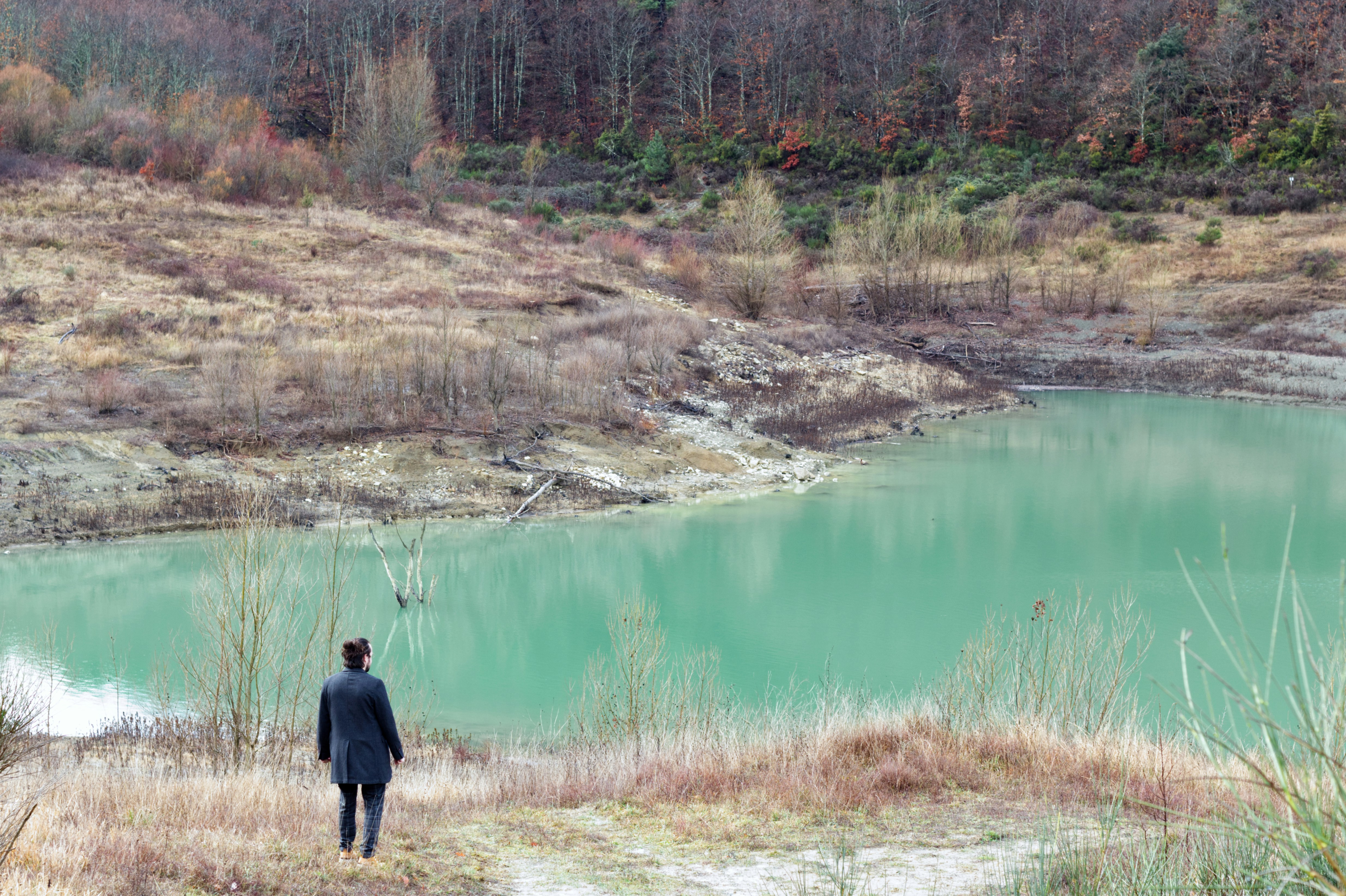 Person walking towards a turquoise pond surrounded by autumnal grass and trees.