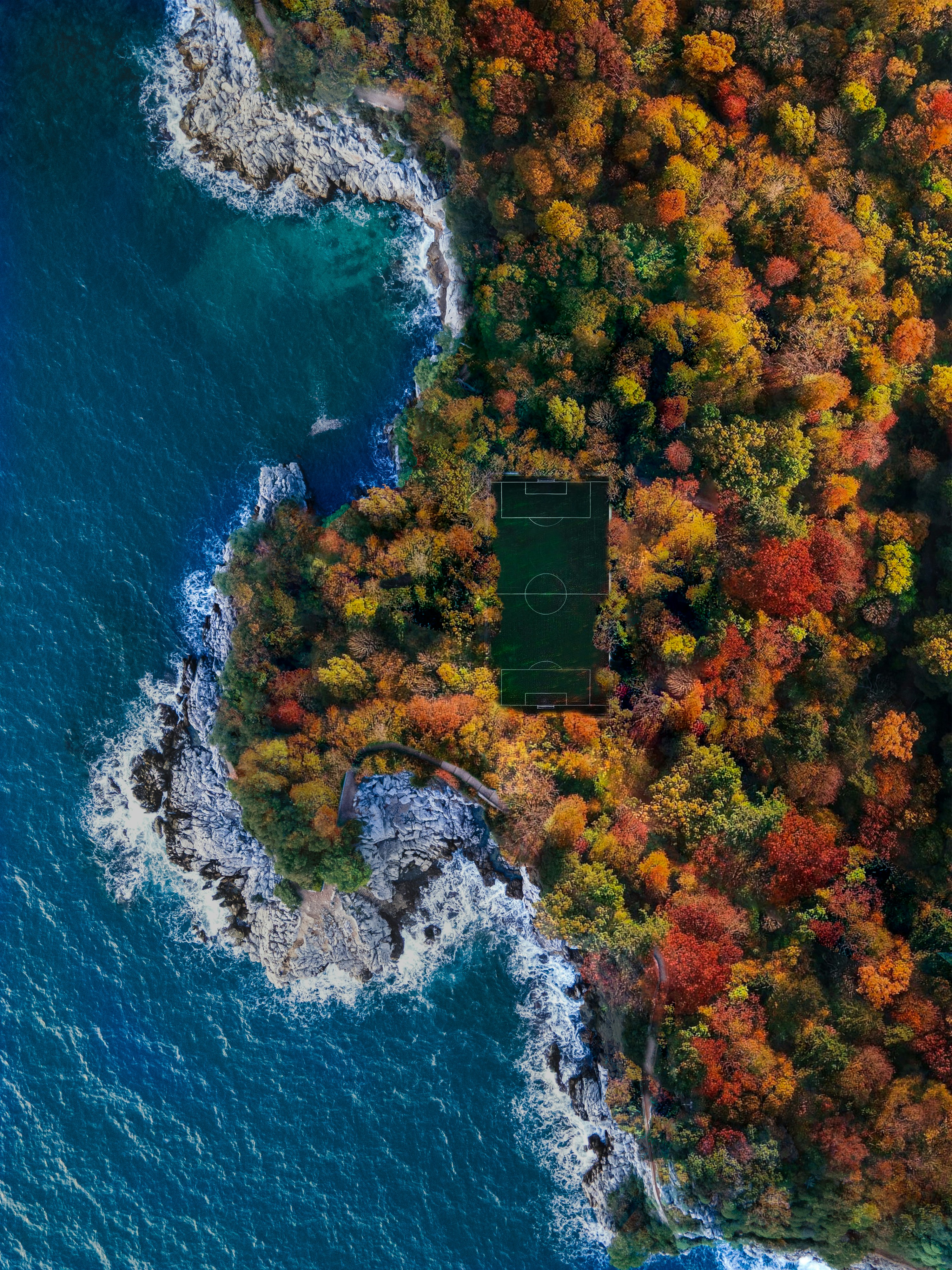 This photo seem unreal, but this place is wonderful. Where can you found a football stadium next to the sea and trees like that.
