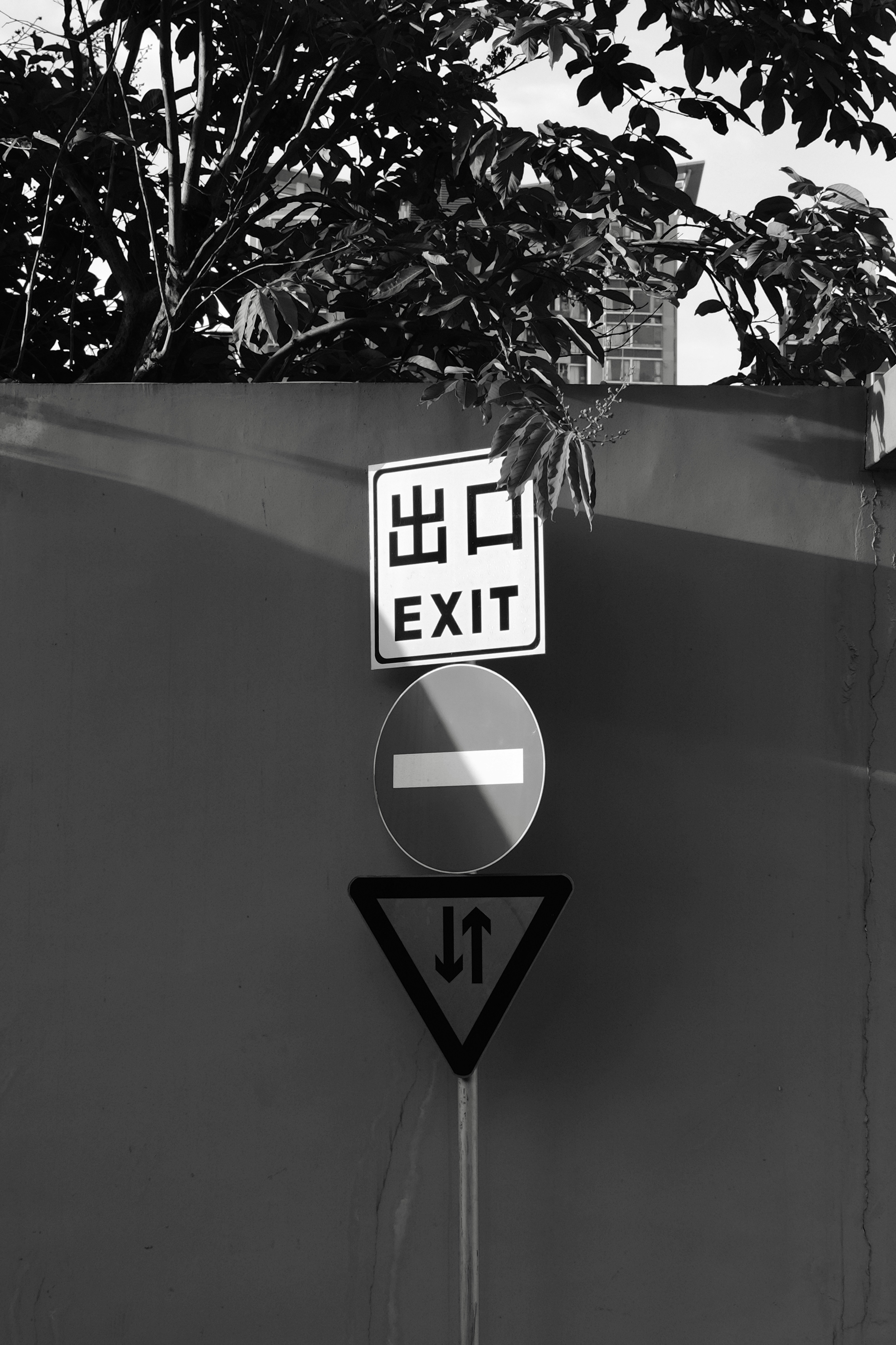 Monochrome Exit: Signage Framed by Urban Foliage