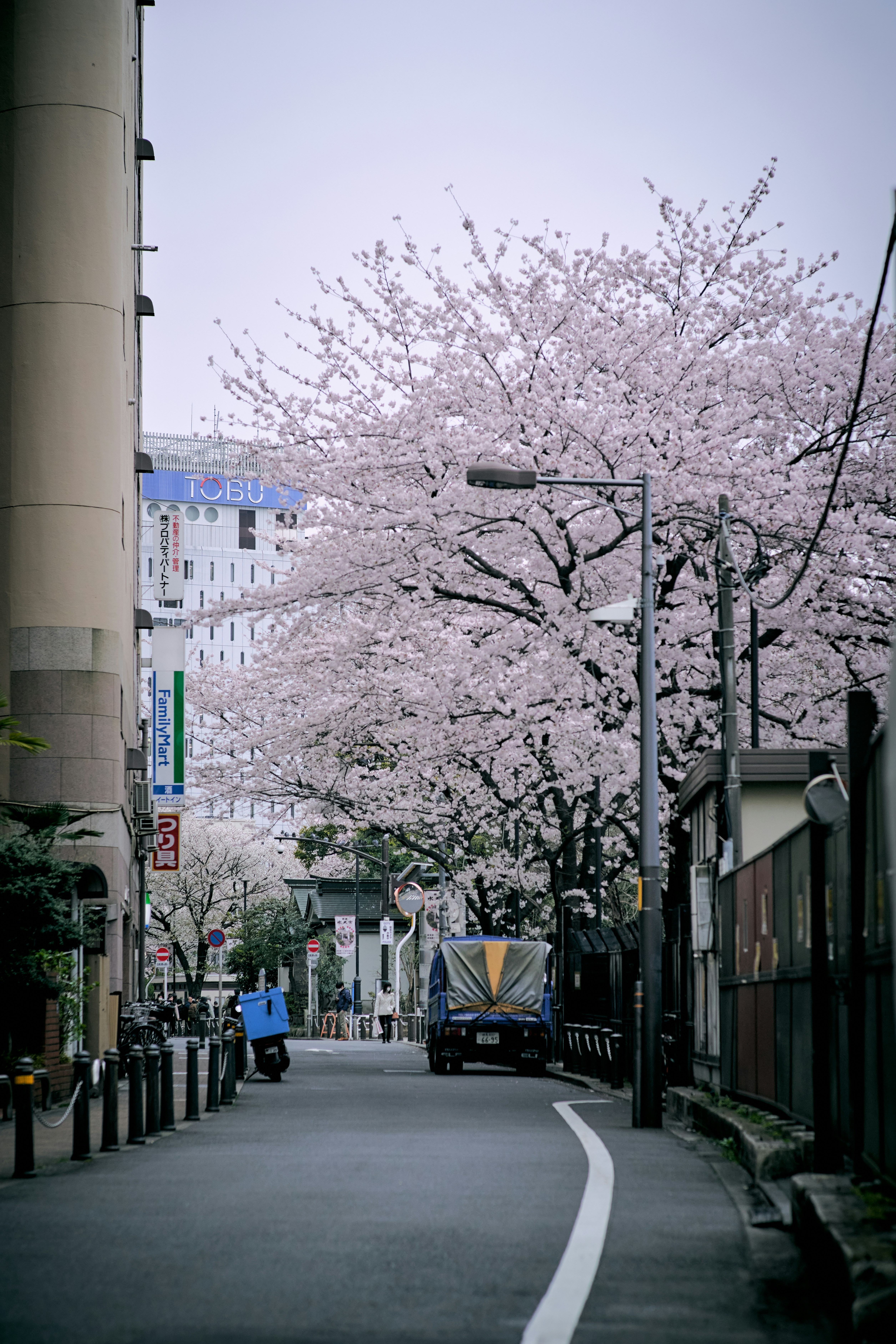 Blooming cherry trees frame a quiet street, with a delivery truck navigating the serene scene. The urban backdrop hints at a bustling city life.