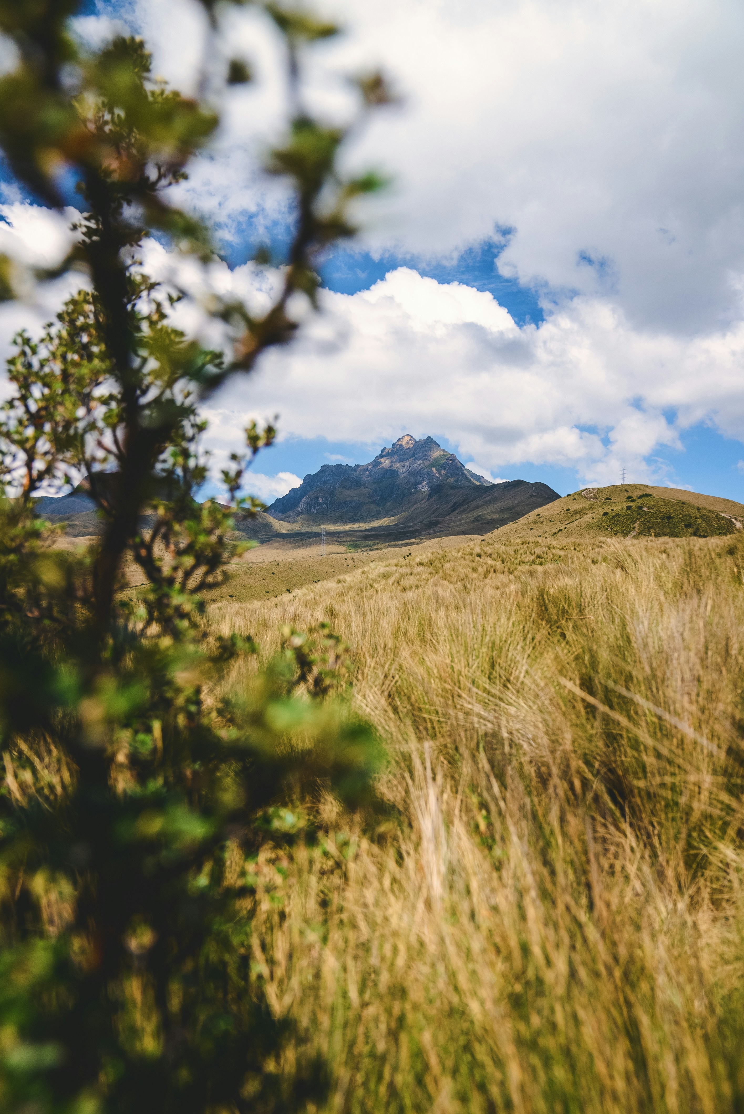 Distant Peak Framed by Prairie Gold Under a Powder-Blue Sky
