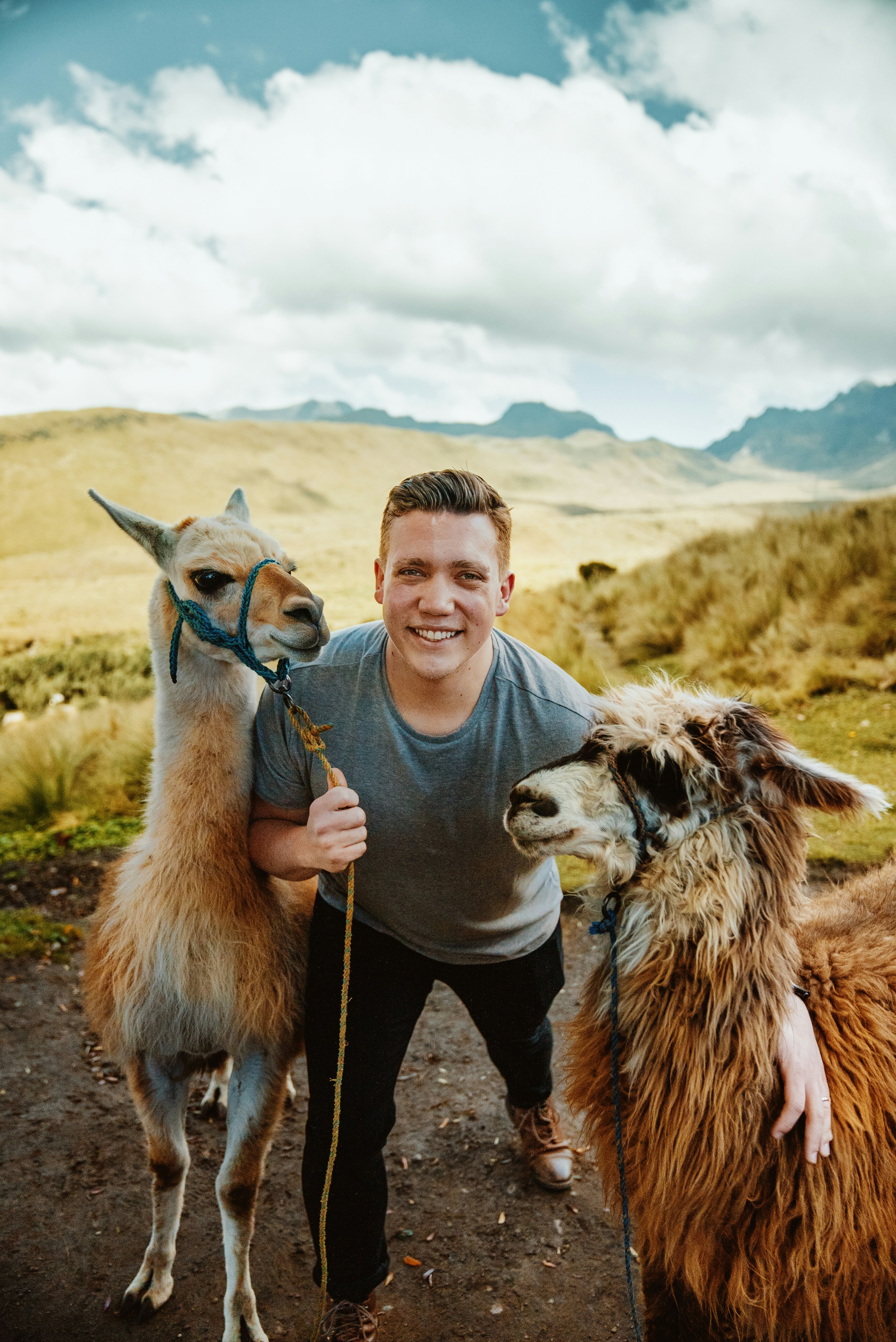 A man standing next to two llamas on a dirt road photo – Free Quito ...