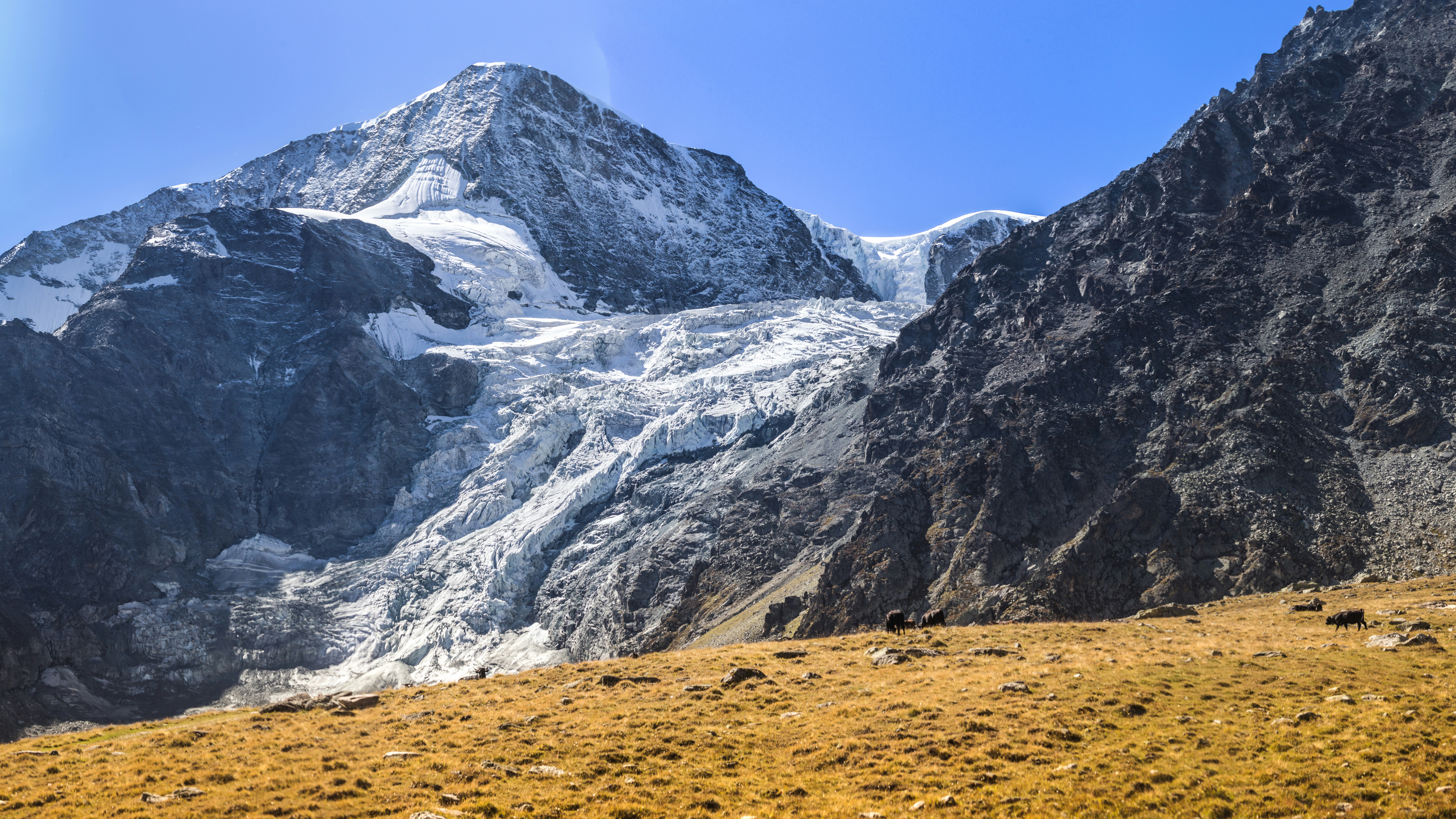 Una montaña con nieve en la cima foto – Imagen de Suiza gratuita en ...