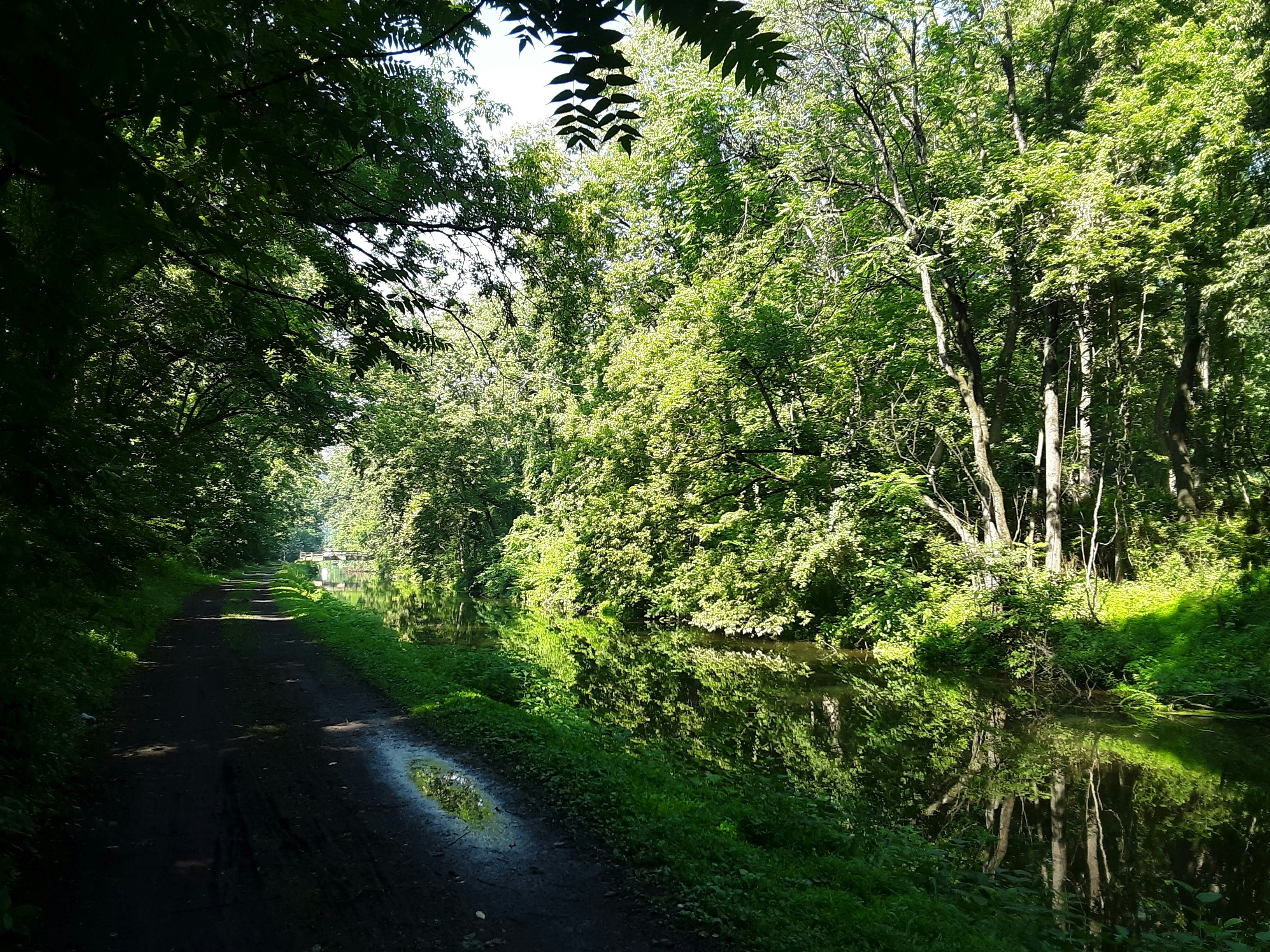 Une route étroite entourée d’arbres et d’eau photo – Photo Canal ...