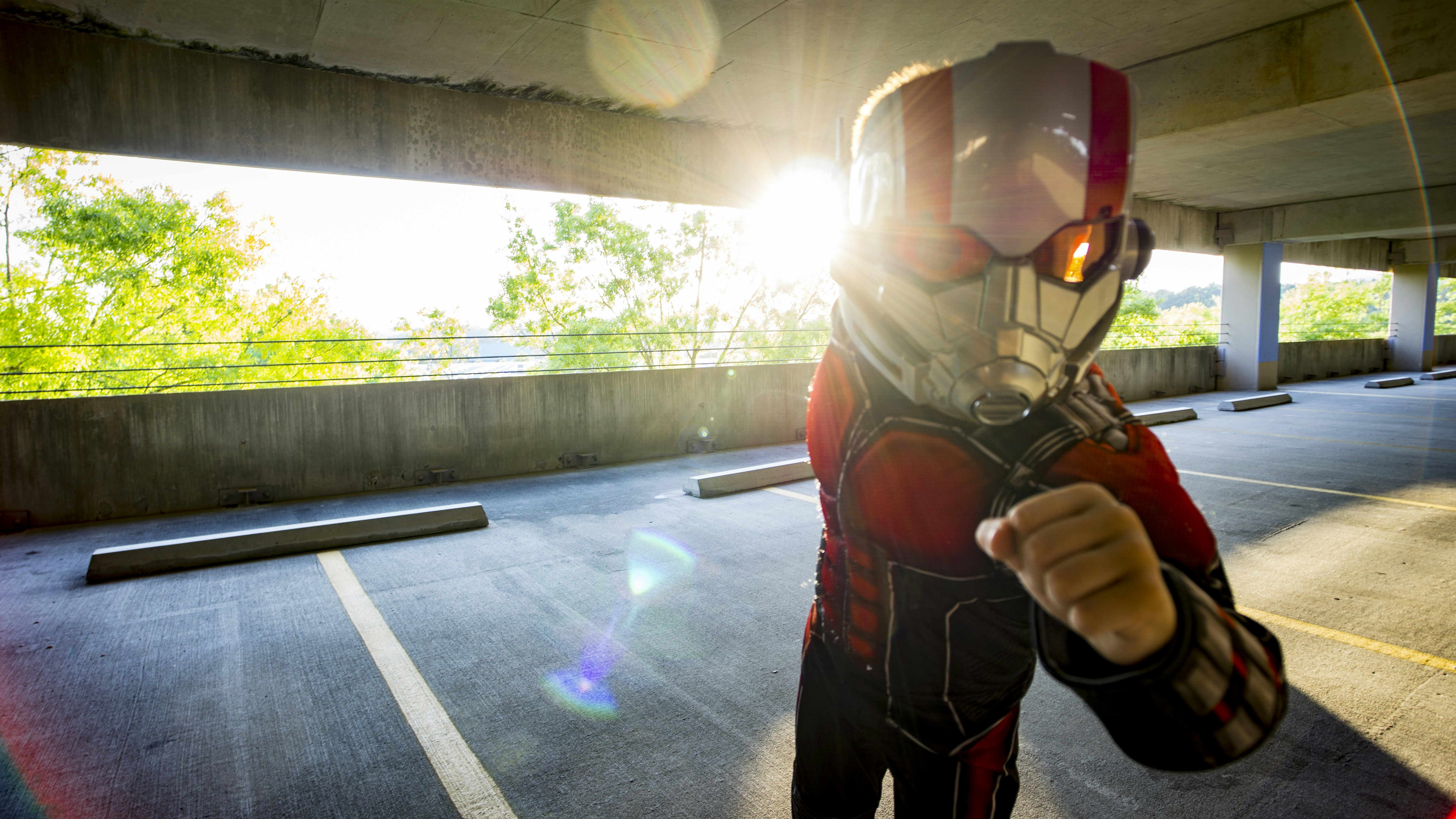 Whimsy Pictures | Download Free Images on Unsplash