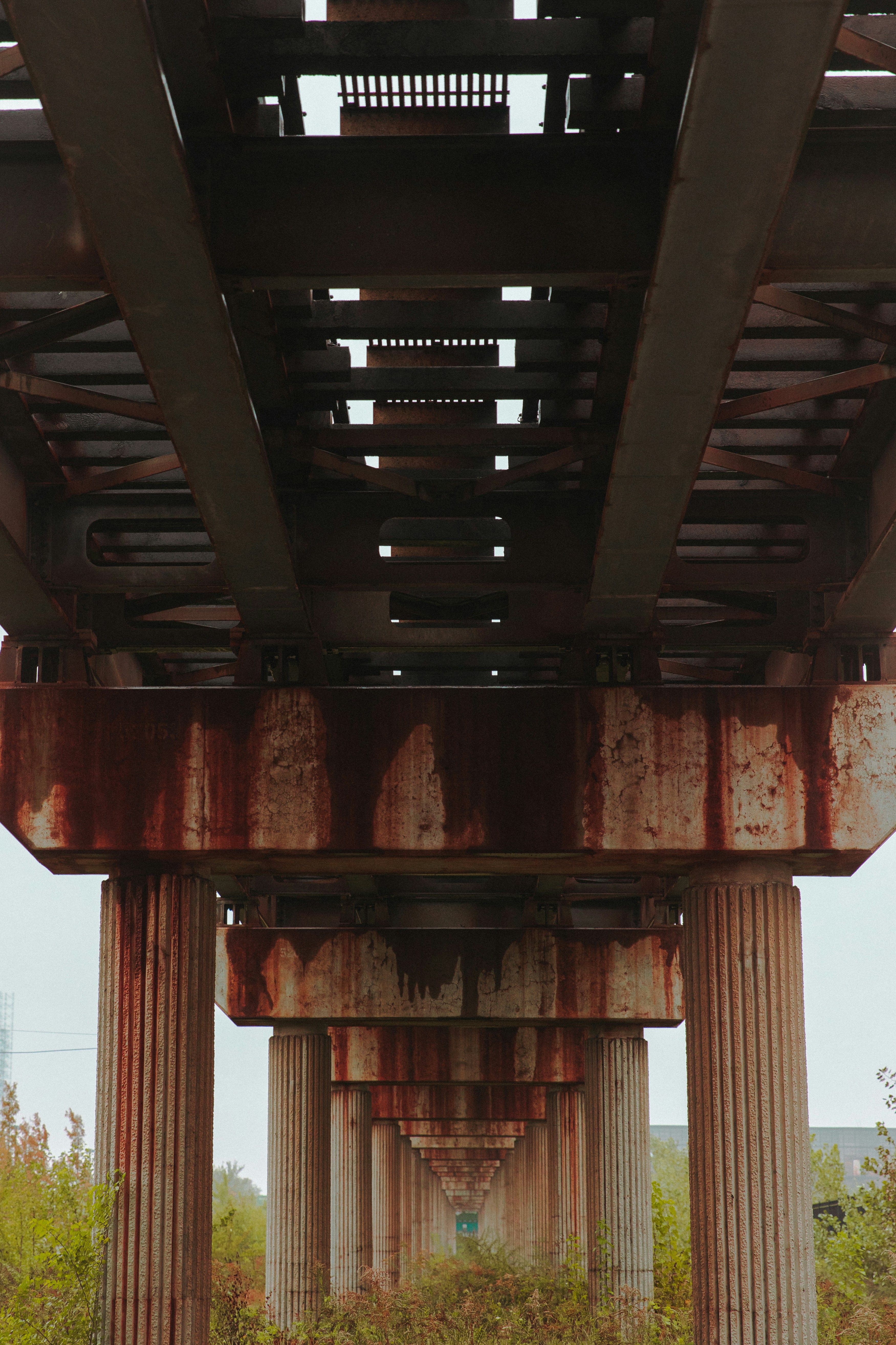 Rusted Colonnade: A Vanishing Corridor Under a Weathered Bridge