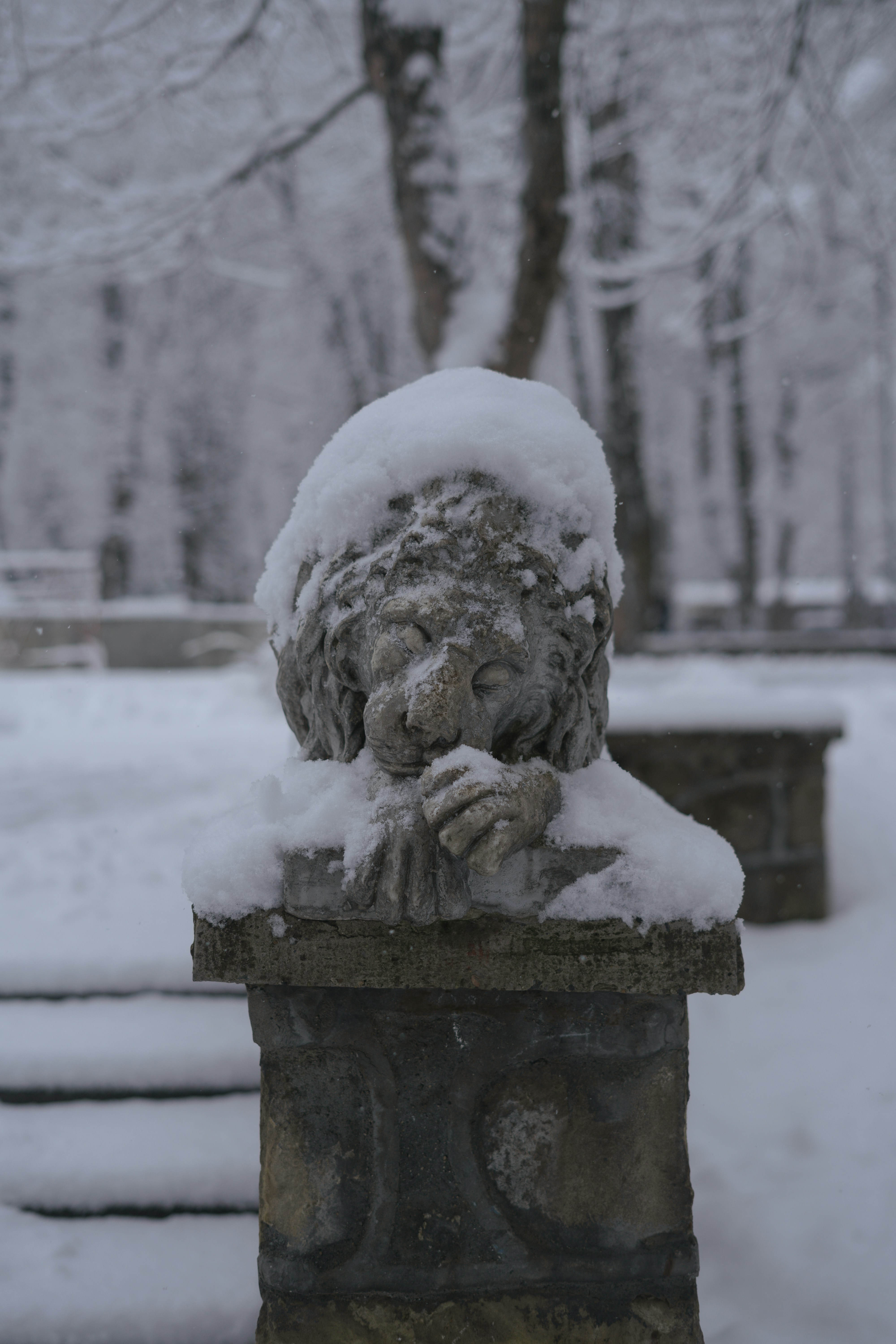 A statue is covered in snow in a park photo – Free Grey Image on Unsplash