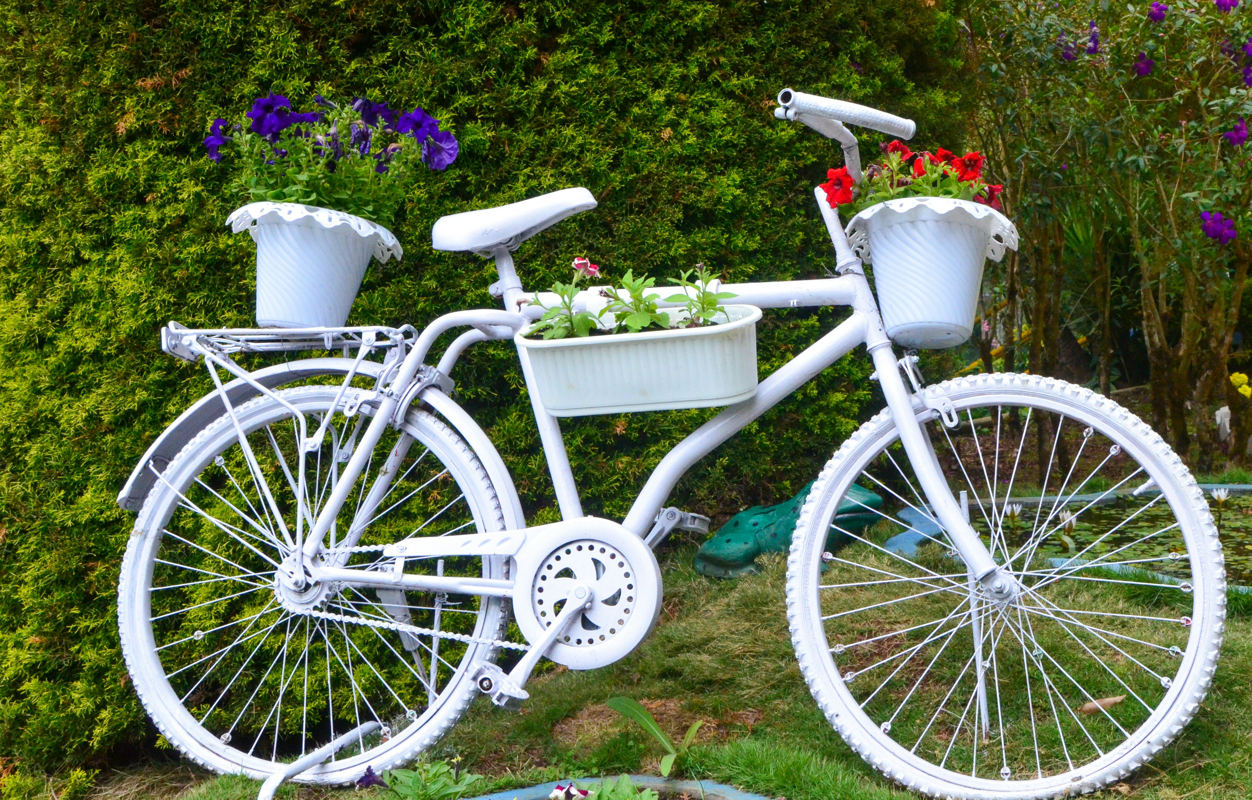Pastel Bicycle Garden: A White Cruiser in Bloom