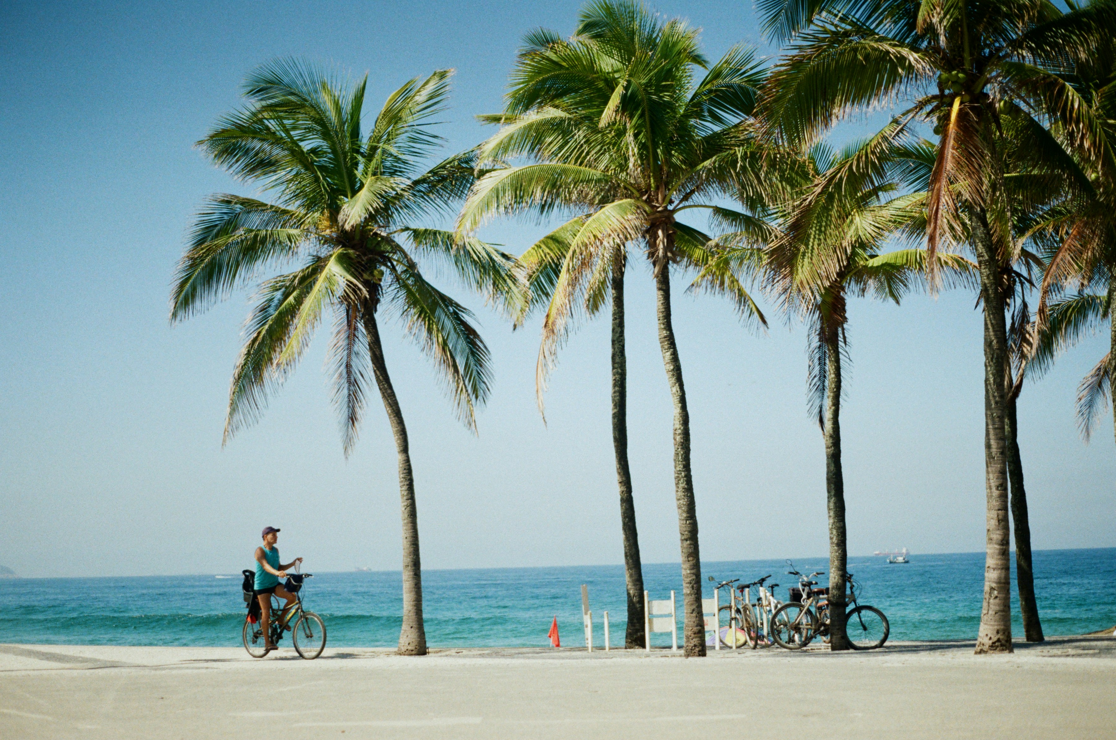 A cyclist rides along a palm-lined beach promenade, with the tranquil ocean in the background and bicycles parked nearby.