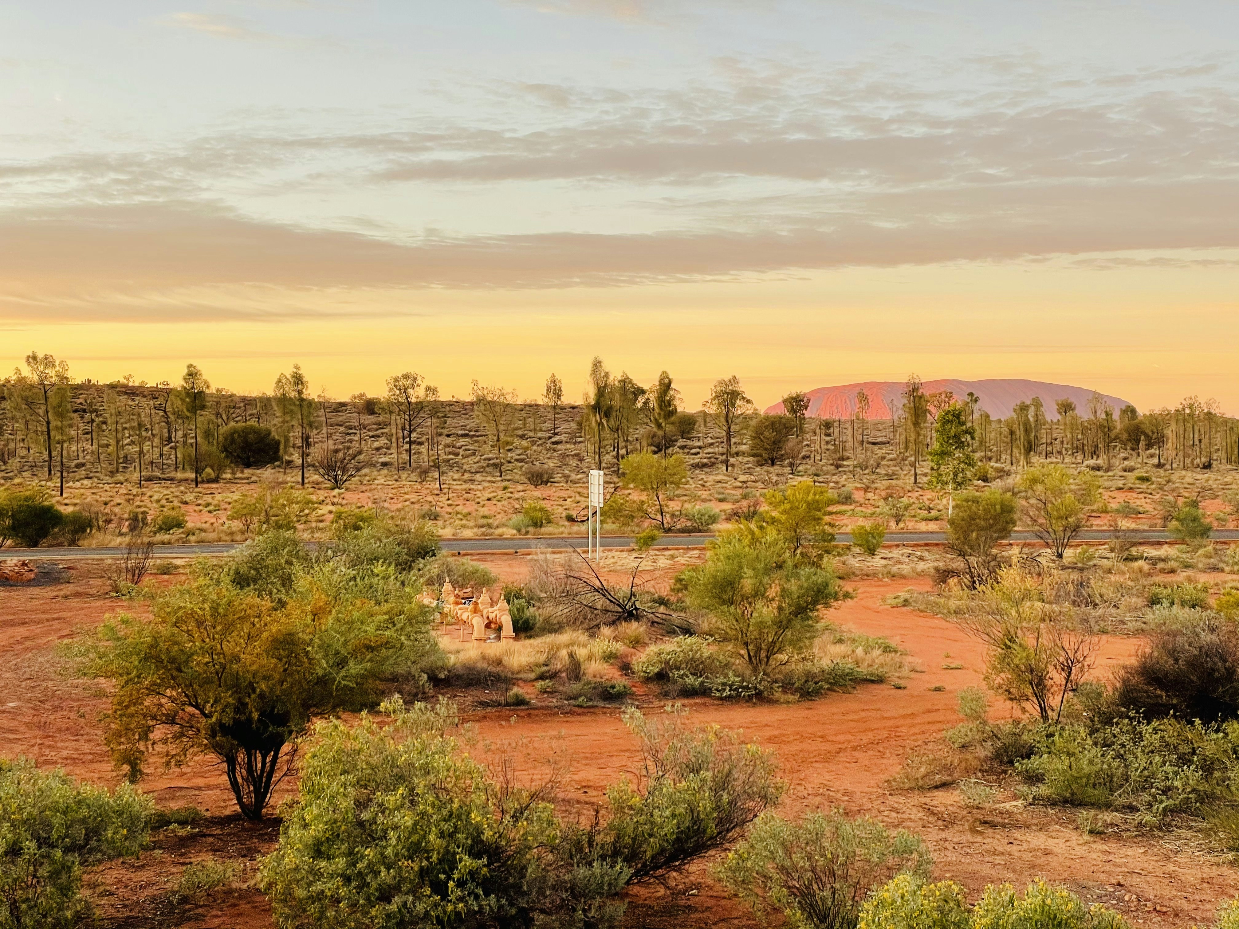A couple of animals that are standing in the dirt photo – Free Uluru ...