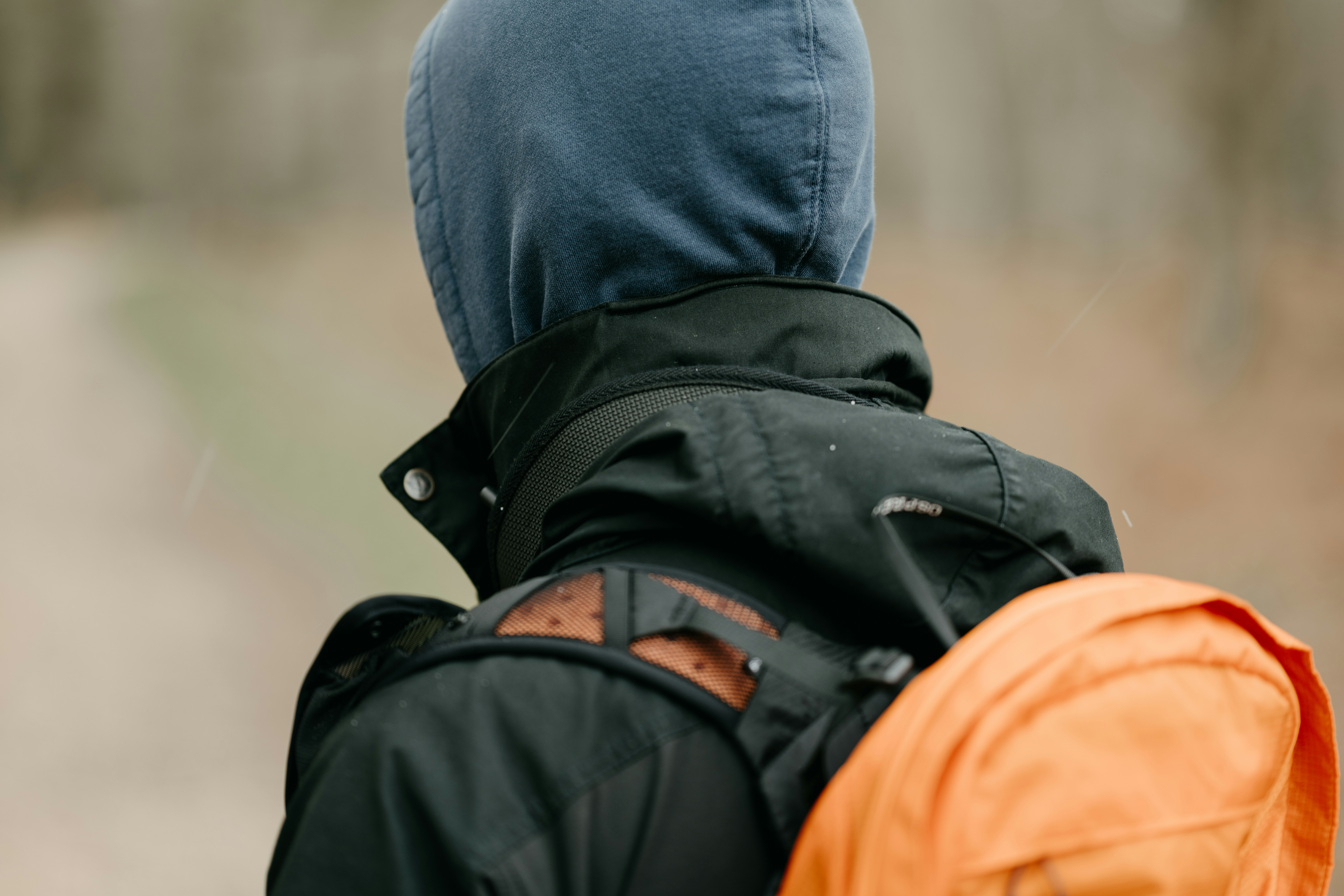 Back-View Trekker with Orange Pack in a Soft-Focus Forest