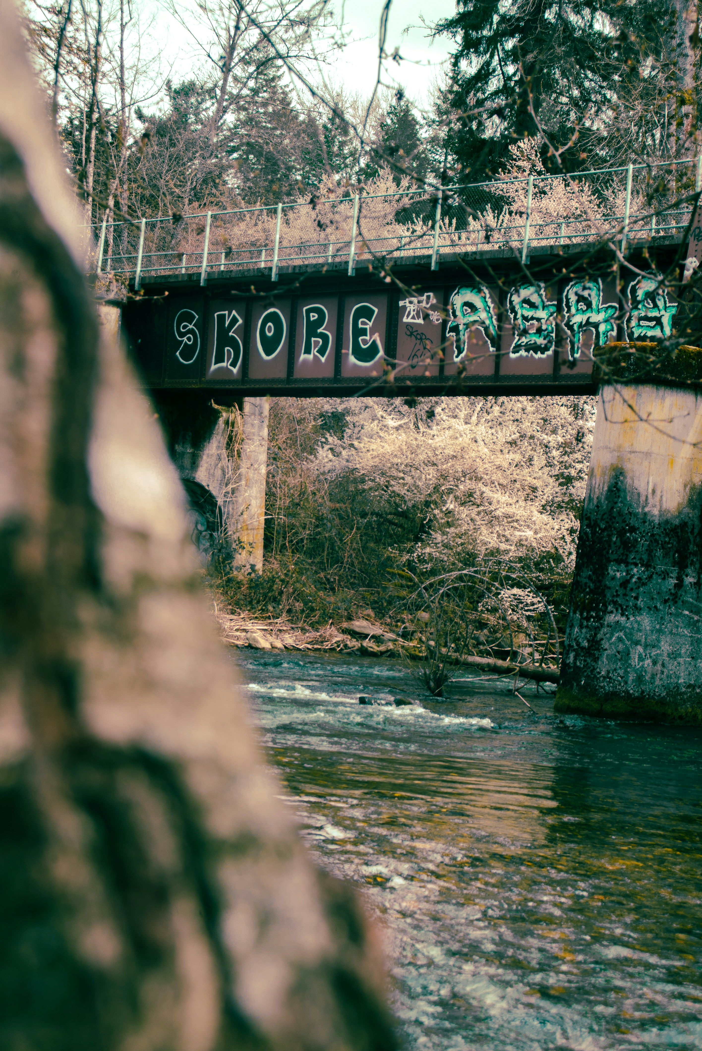 Graffiti-covered bridge spanning a serene river, surrounded by muted foliage and a hint of urban decay.