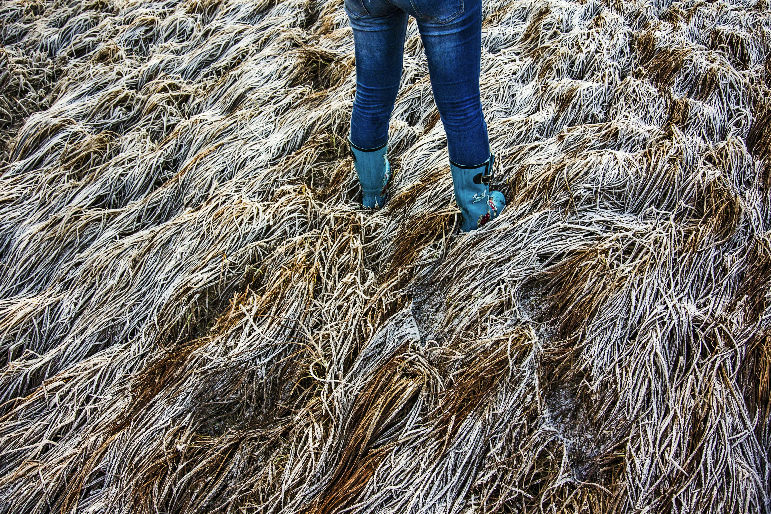 a woman standing in a field of dead grass