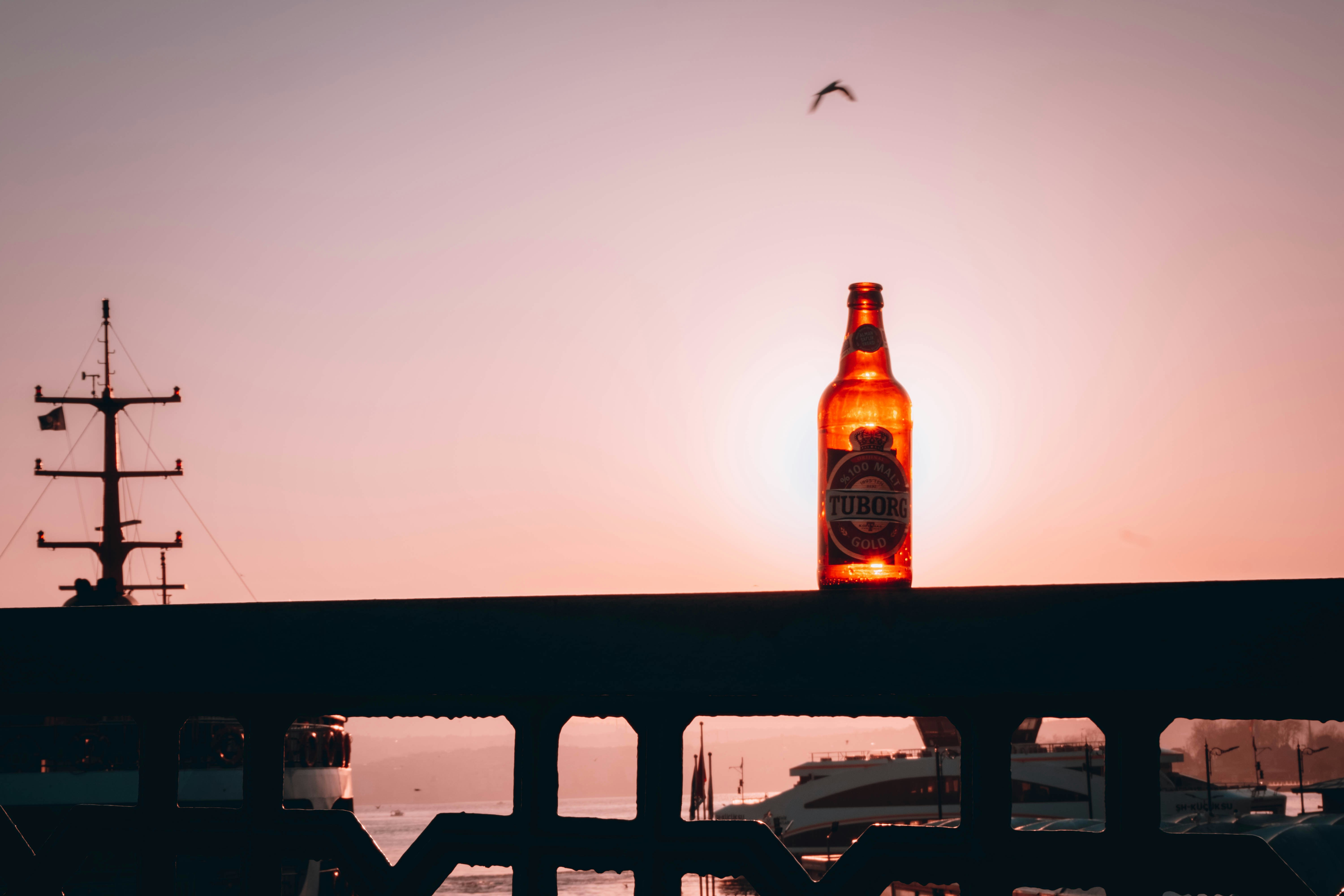 A bottle of beer sitting on top of a wooden bridge photo – Free Drink ...