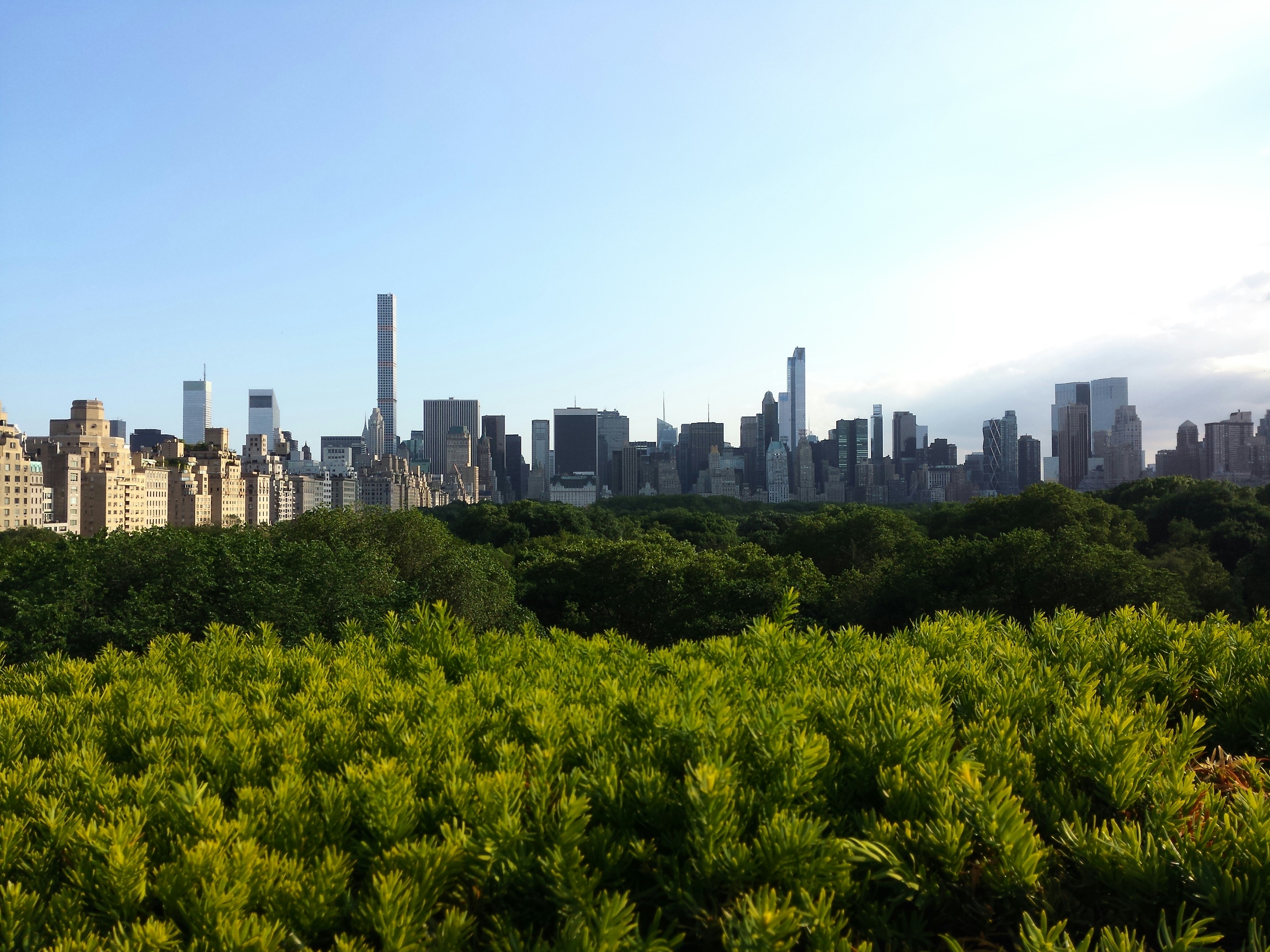 a view of a city skyline from a park