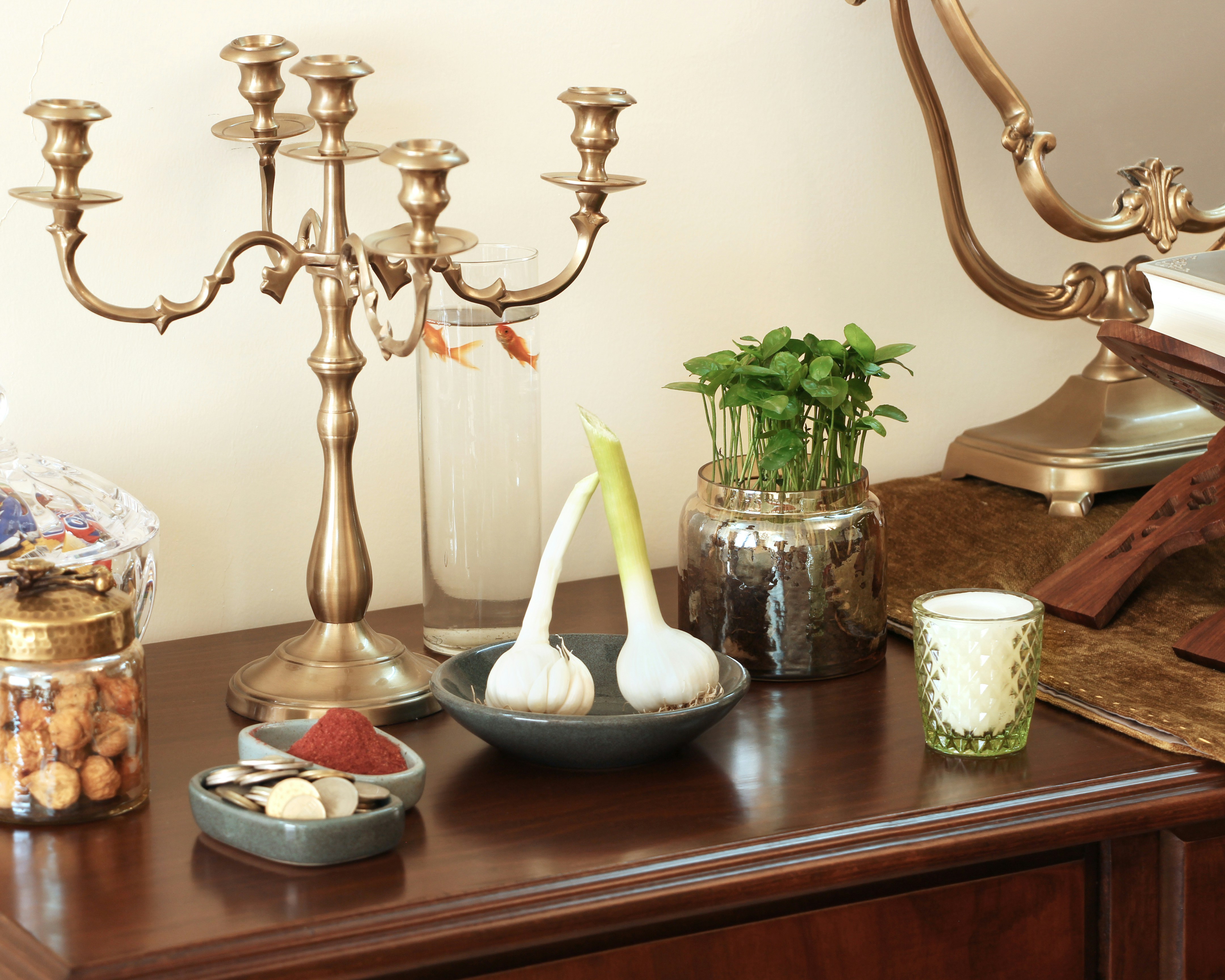 Zahra Tavakoli fard (@tavakoli_z21) | Unsplash 사진 커뮤니티