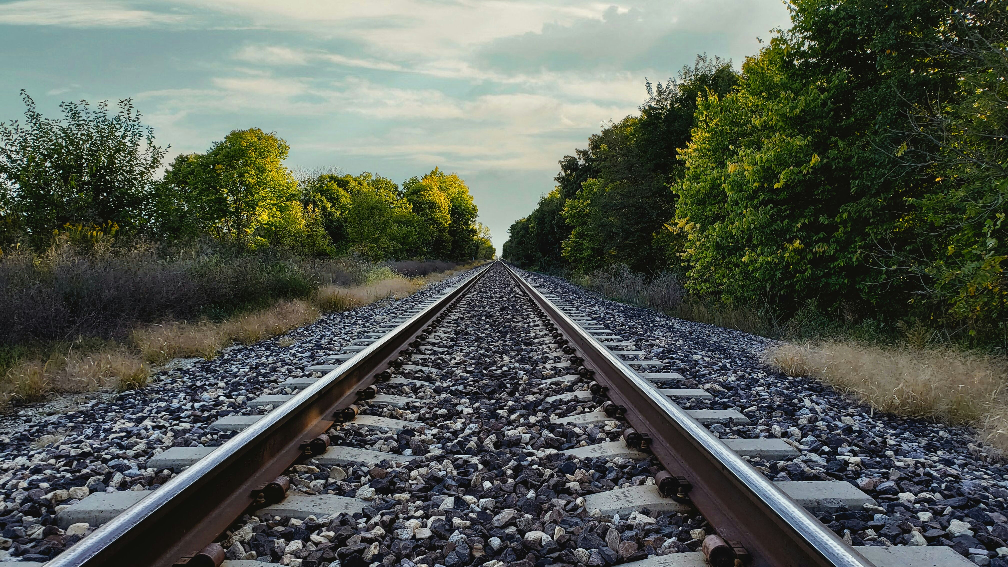 A train track running through a wooded area photo – Free Trees Image on ...