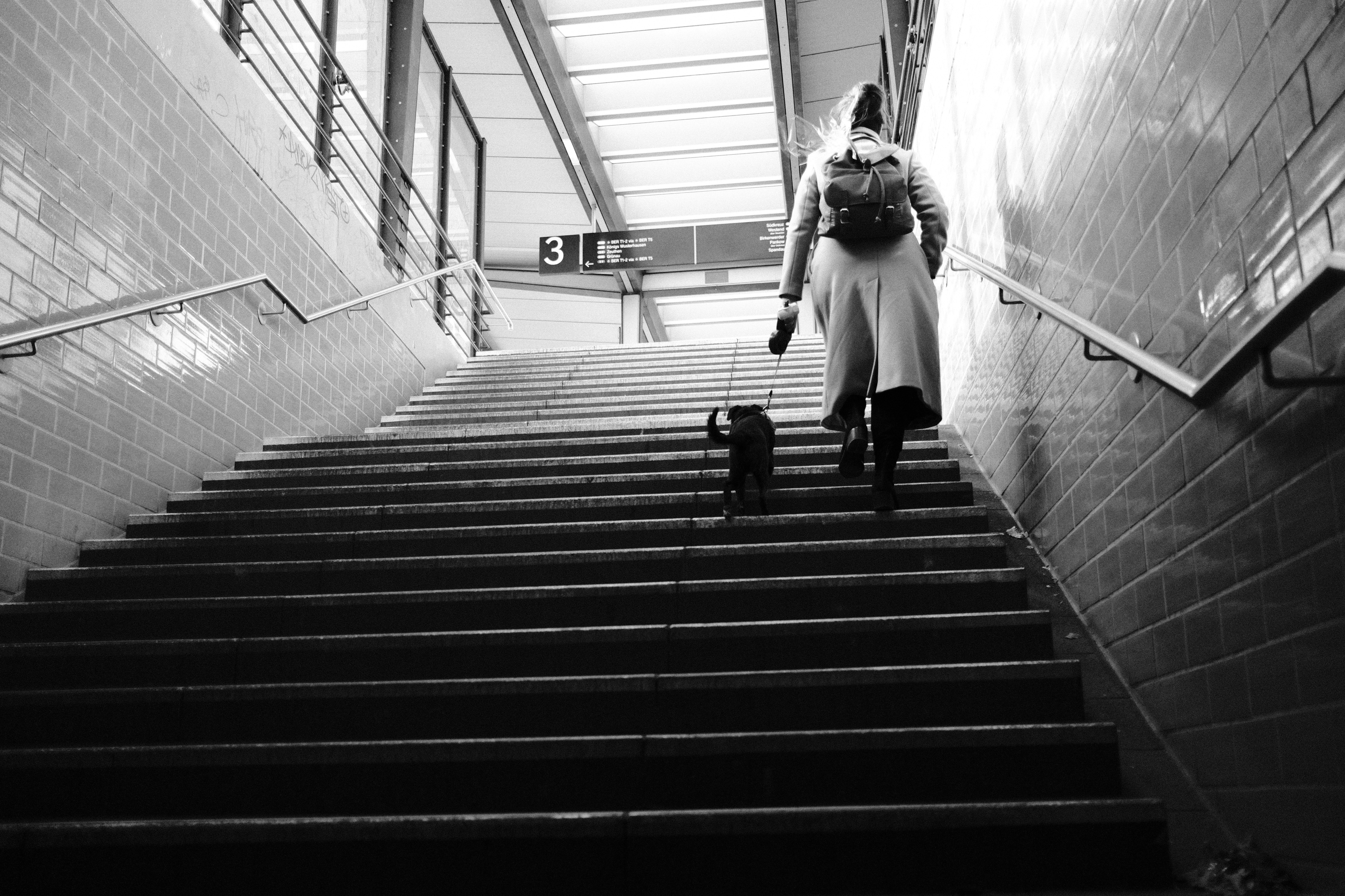 Ascending Resolve: A Woman and Dog Climb Toward Light