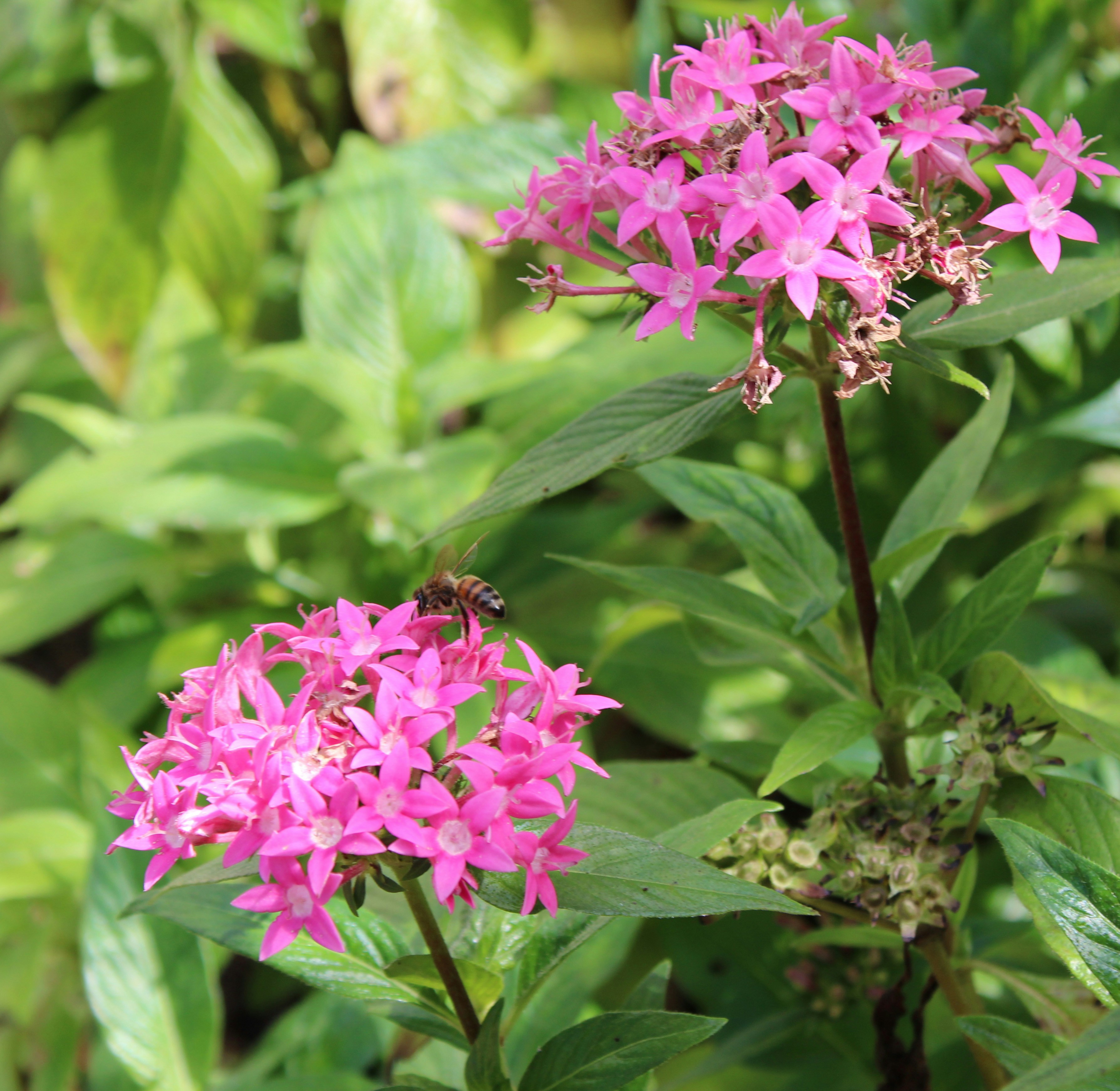 Sheila Marie (@3phasecopy) | Unsplash 사진 커뮤니티