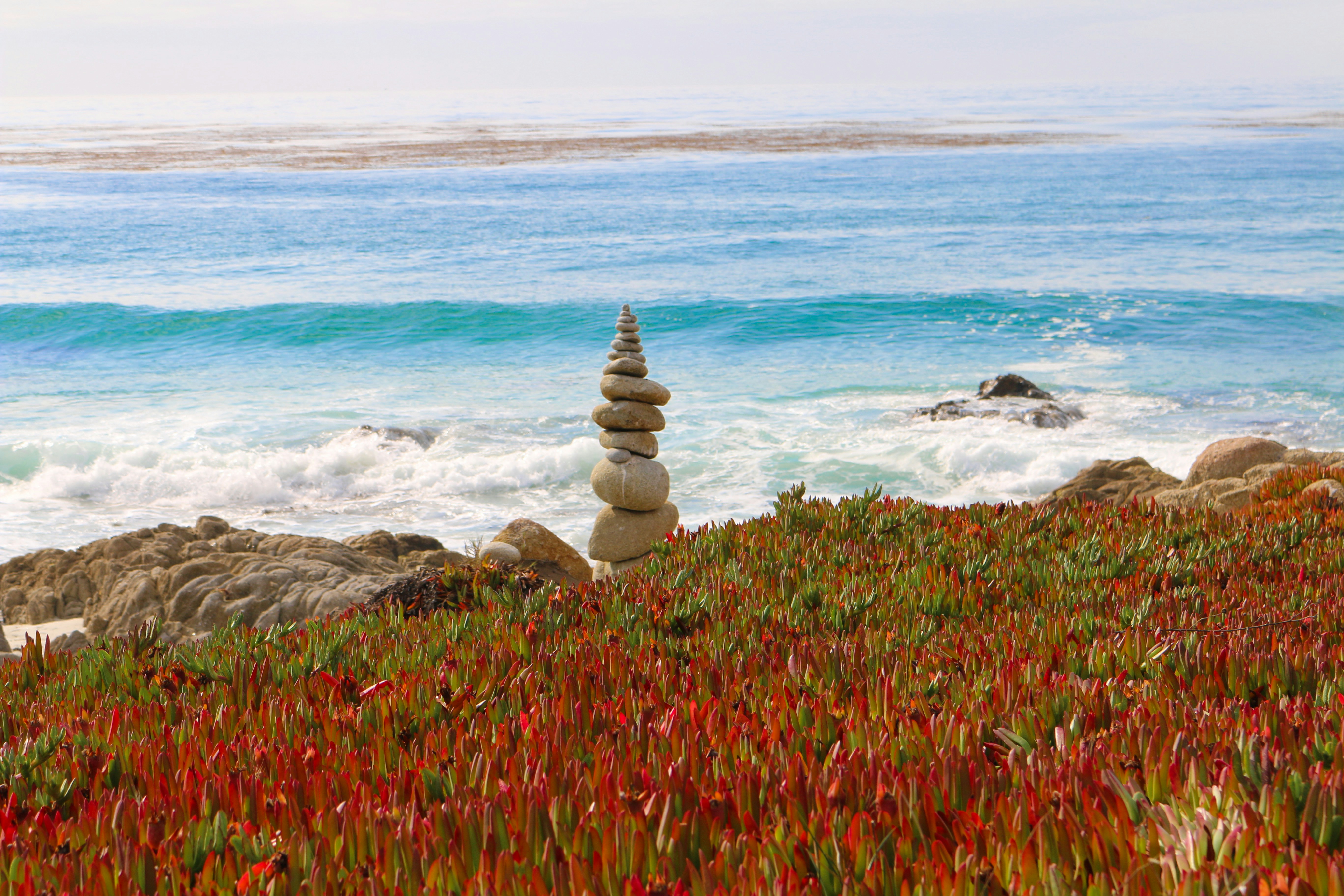 A carefully balanced stack of stones stands amidst vibrant coastal vegetation, overlooking the serene waves of the ocean. The scene embodies tranquility and the beauty of nature's elements.