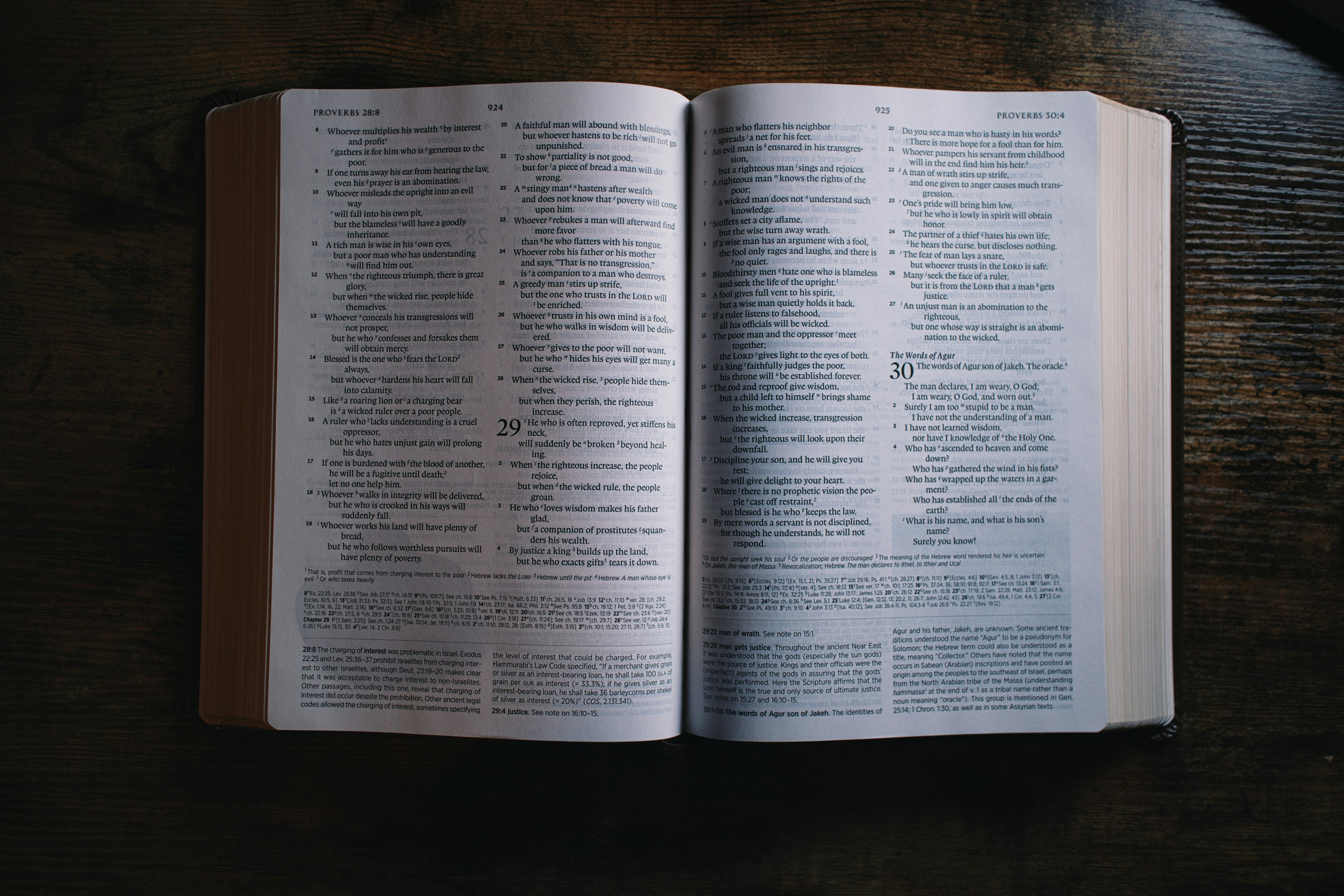 Photo by Shane Hoving with Canon EOS M50