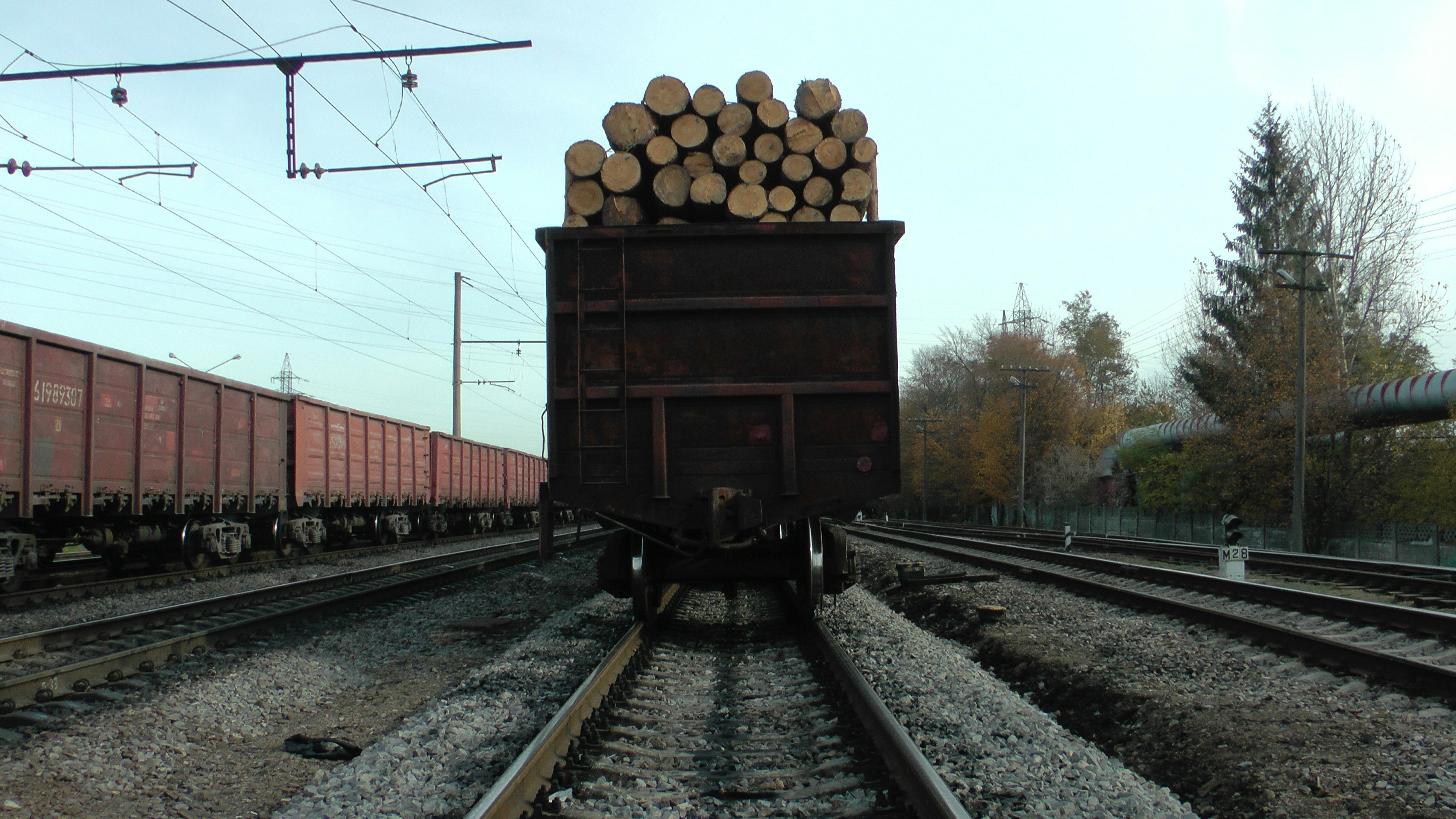 A cargo train carrying logs down a track photo – Free Black Image on ...