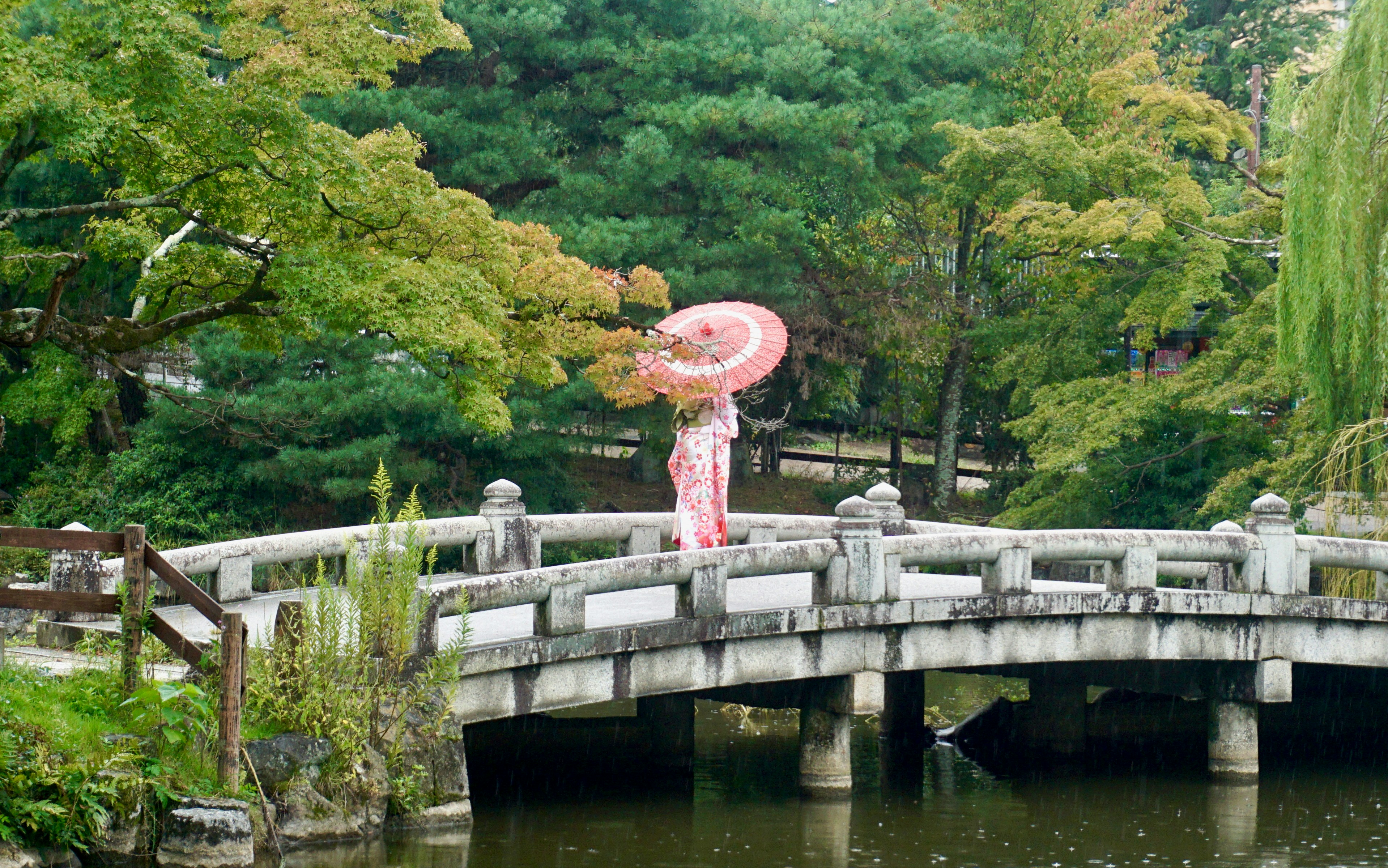 Pink Parasol over the Stone Bridge