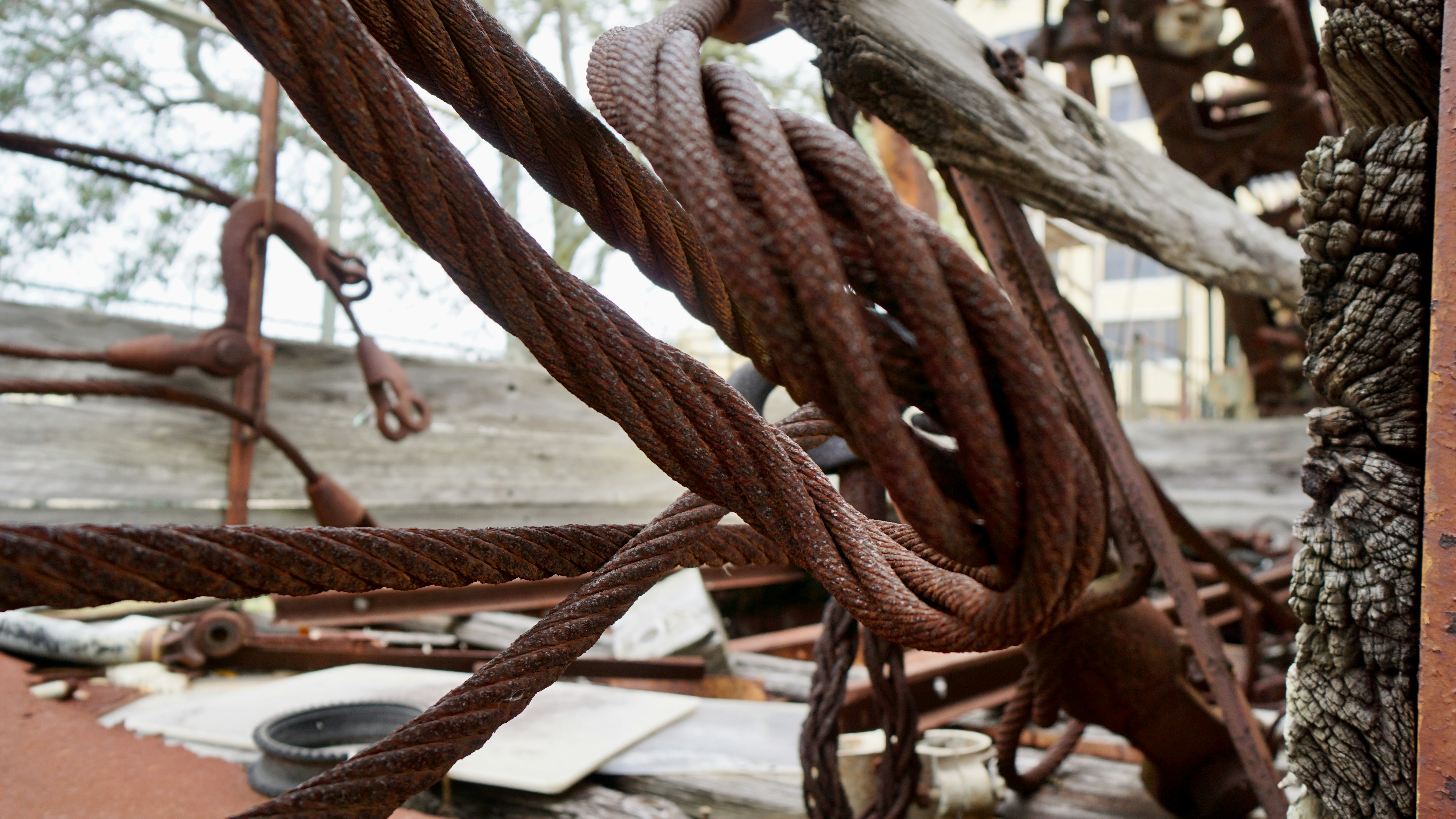 Knot Garden: Weathered Mooring Ropes on a Quiet Dock