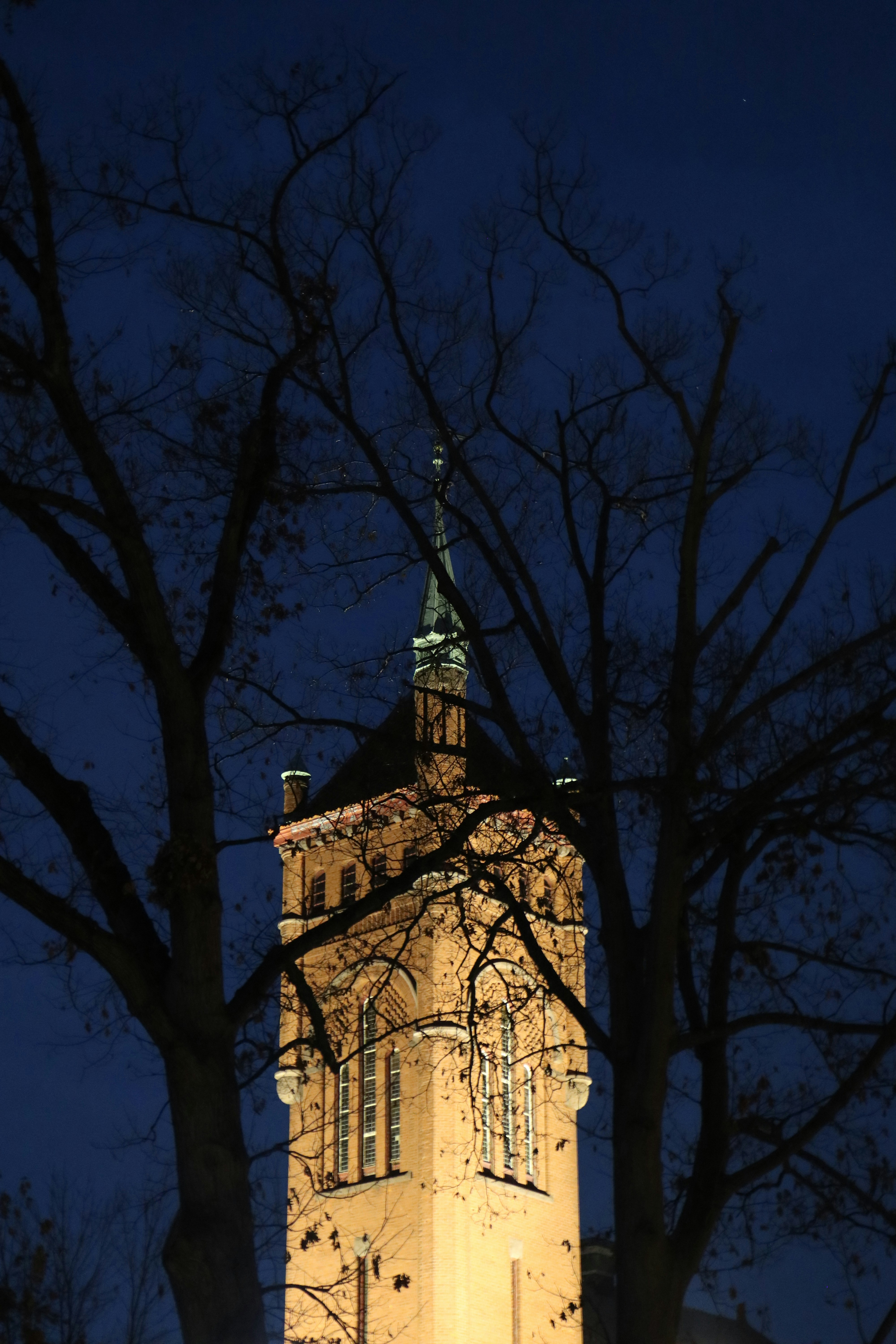 Whispers of History Beneath a Starry Veil