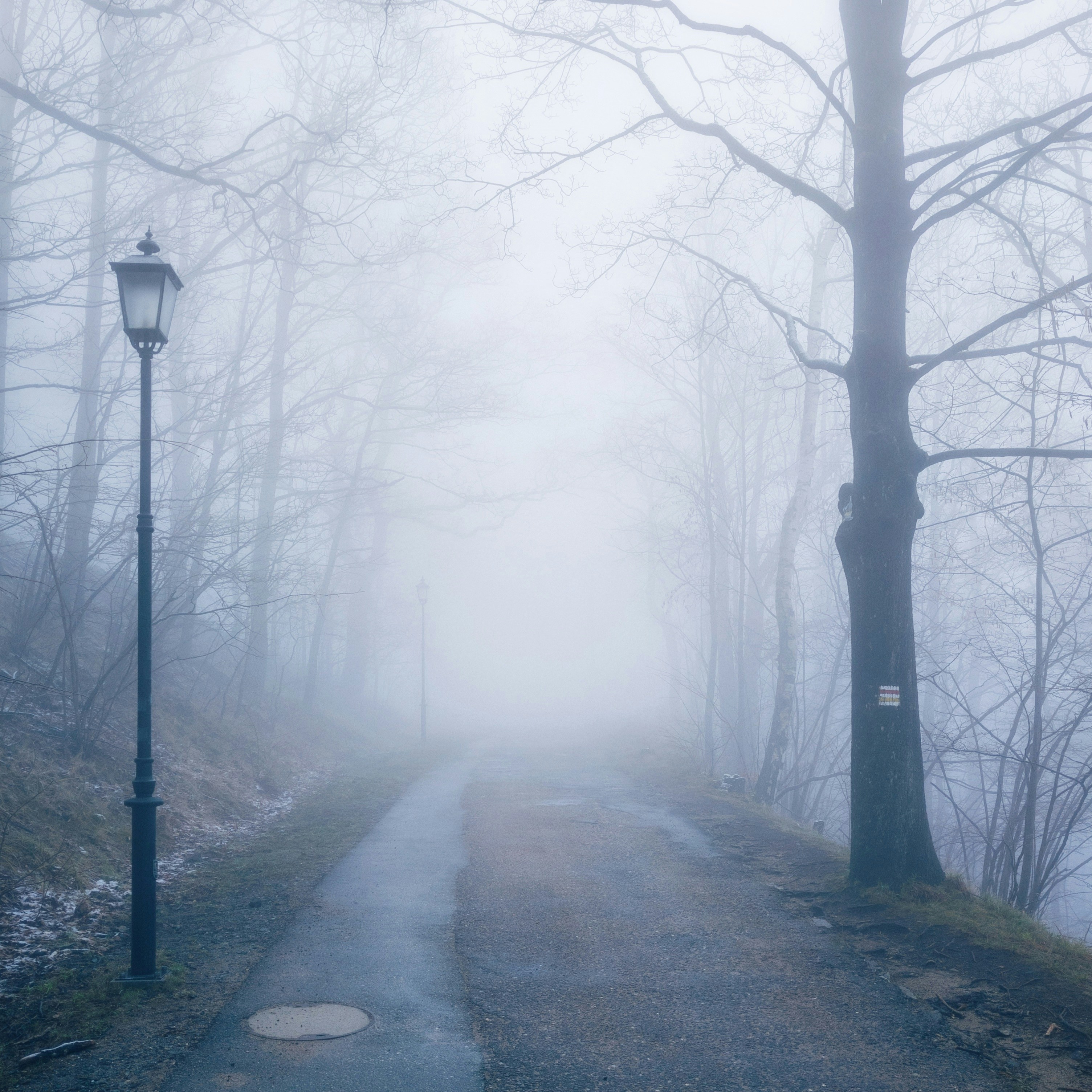 A foggy path in the woods with a lamp post photo – Free Srebrna góra ...