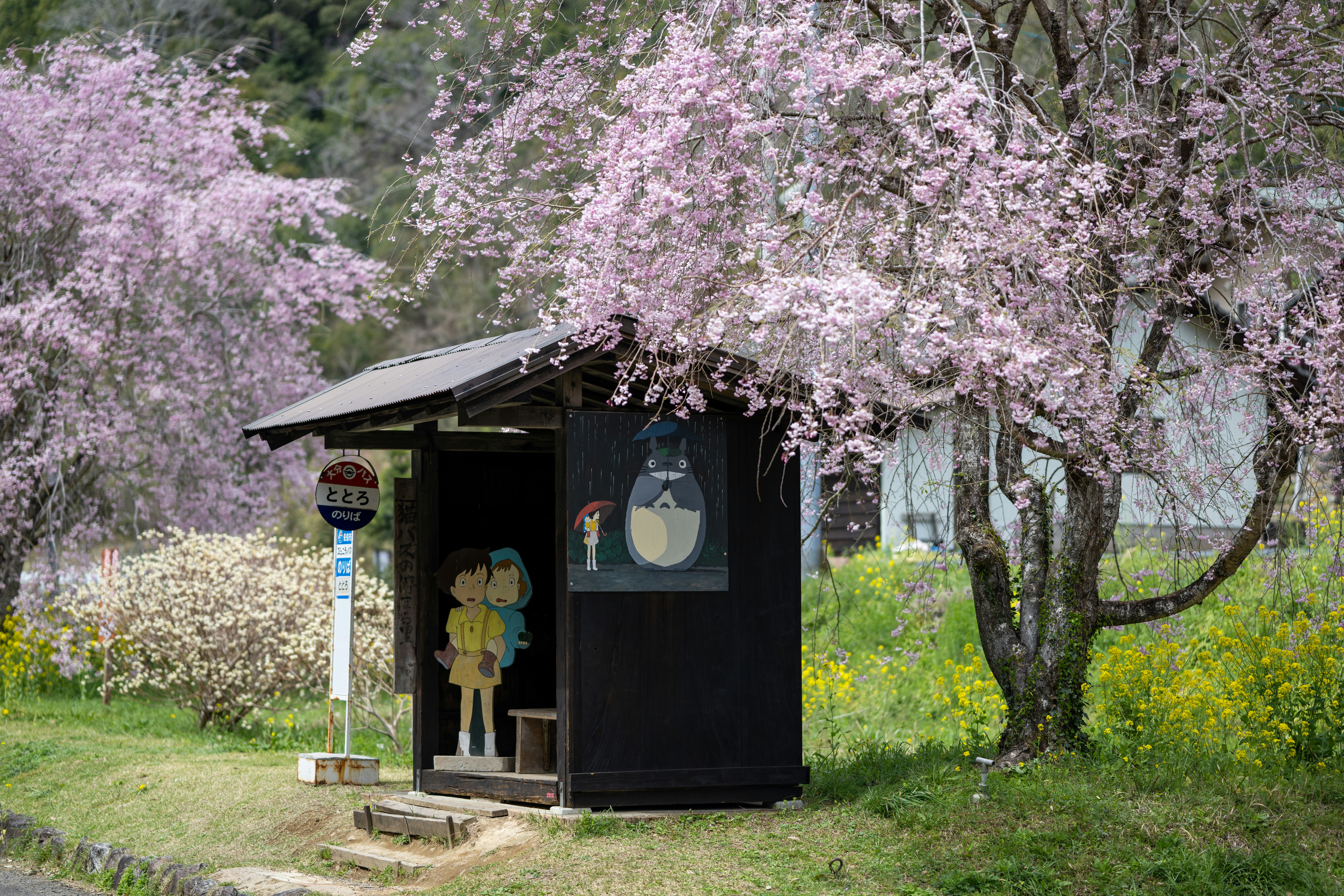 Foto Una pequeña letrina en medio de un campo – Imagen Naturaleza ...
