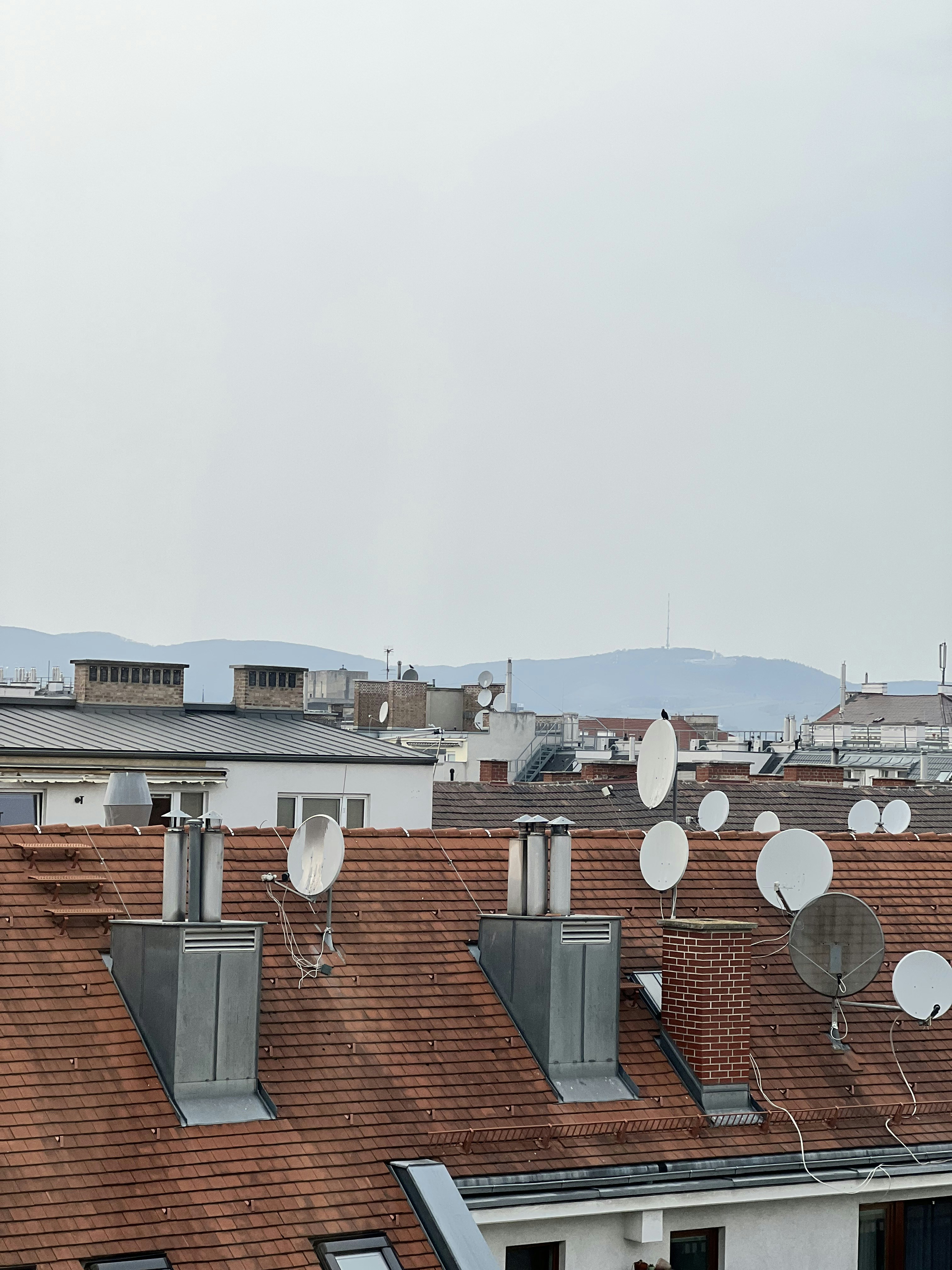 Rooftops in Vienna during spring 