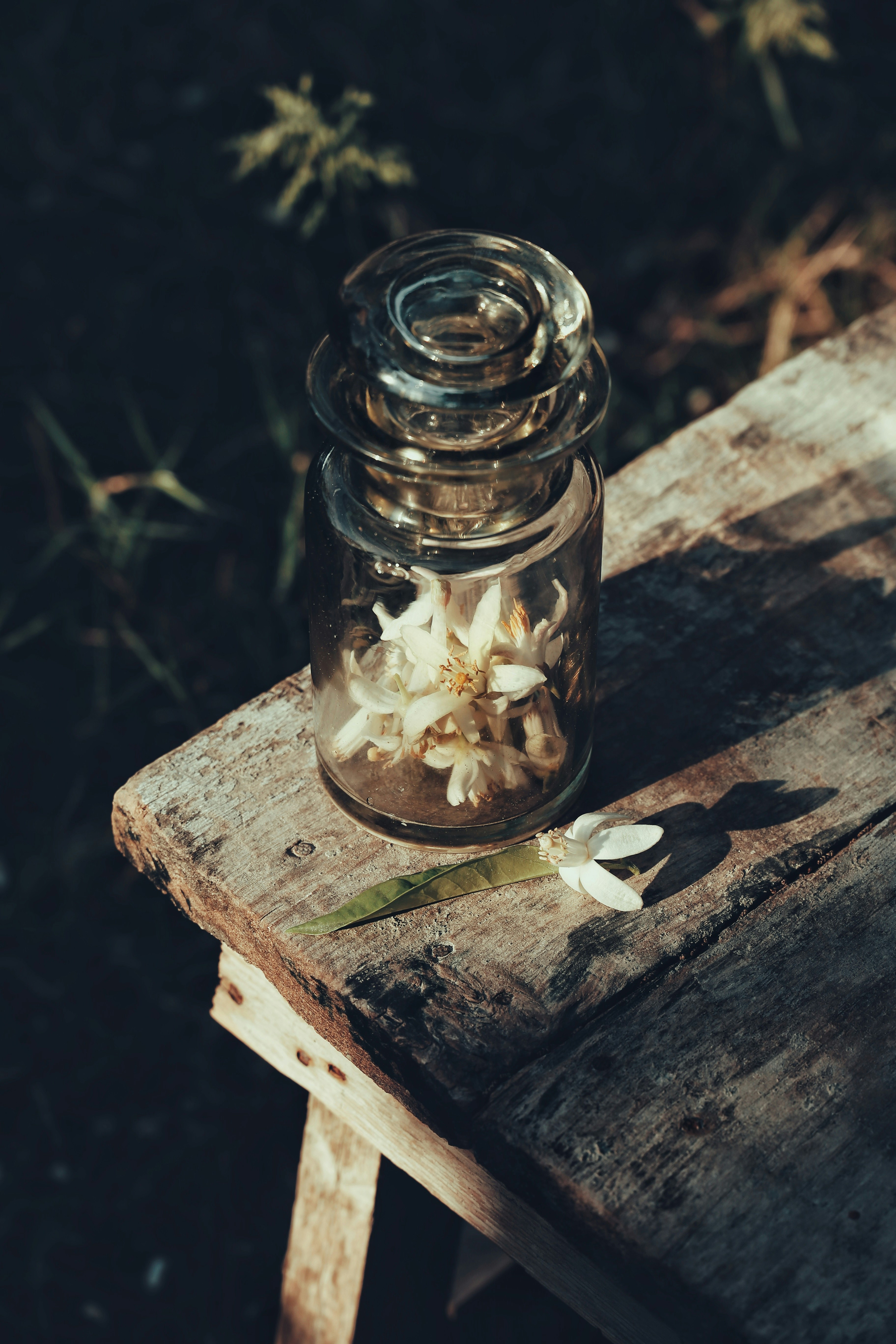 Glass jar containing delicate white flowers resting on a rustic wooden surface, with a single leaf beside it.