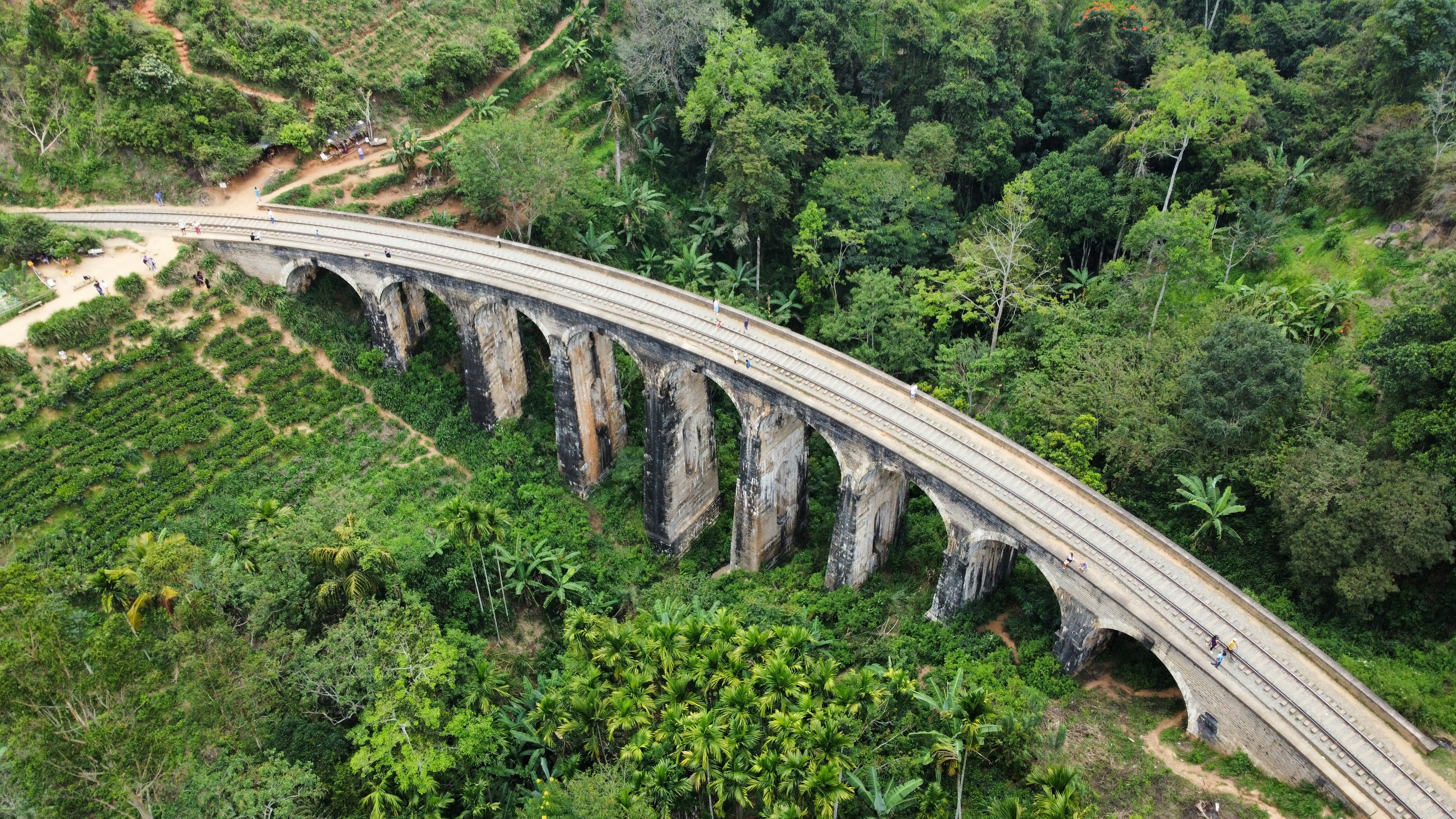 Vue aérienne d’un pont au milieu d’une forêt photo – Photo Pont ...