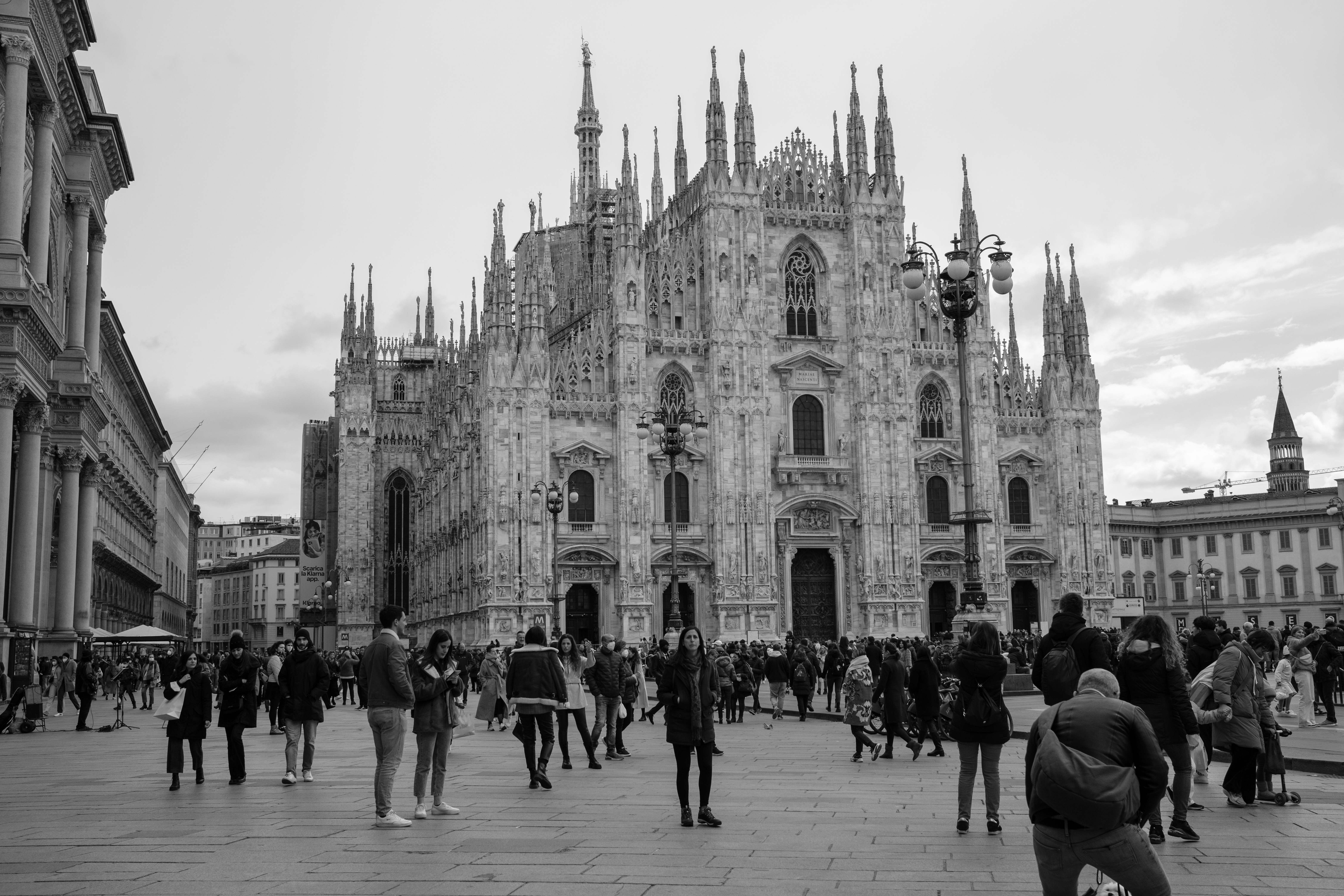 Gothic Majesty in Monochrome