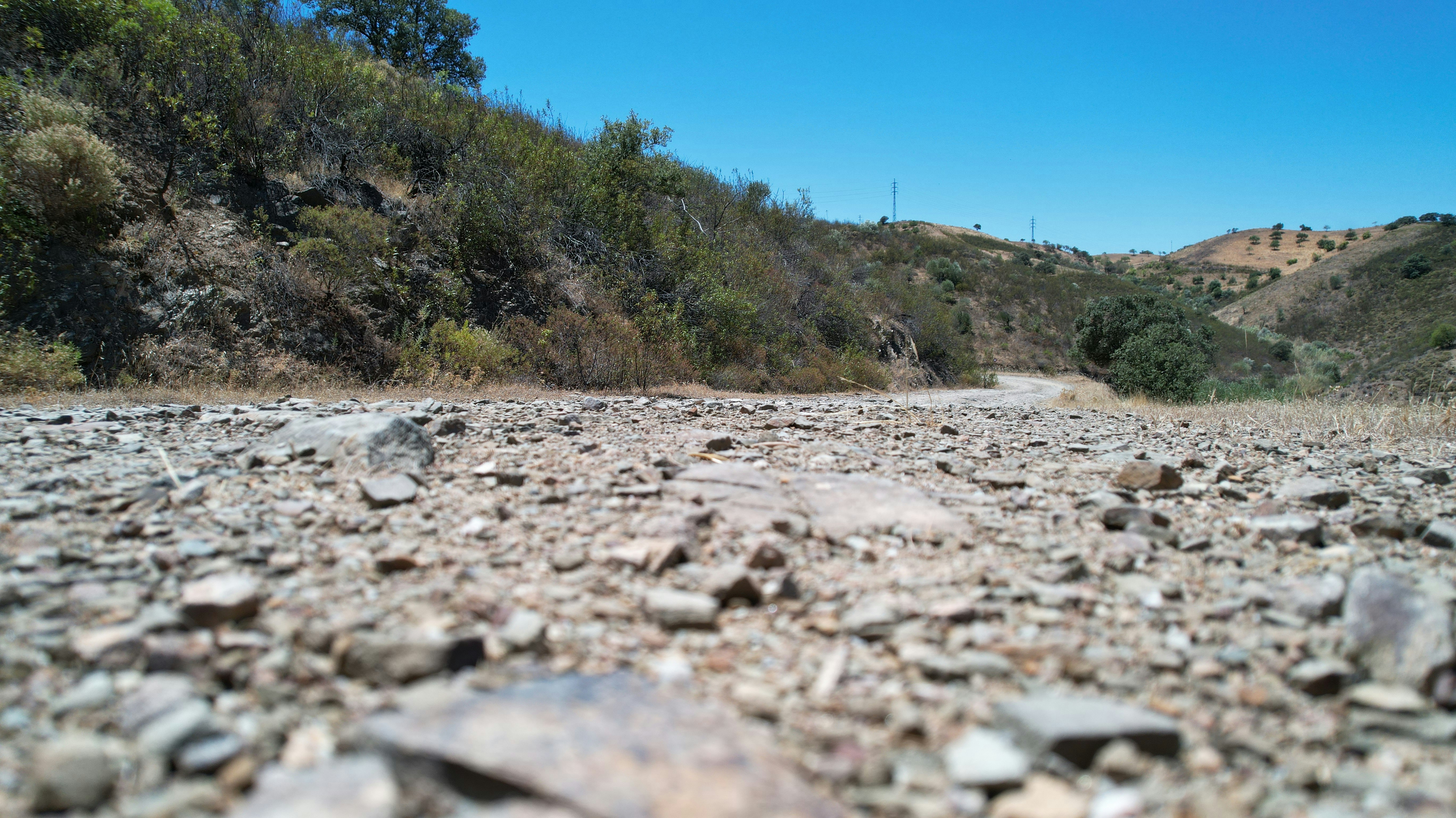A dirt road with rocks and trees in the background photo – Free Soil ...