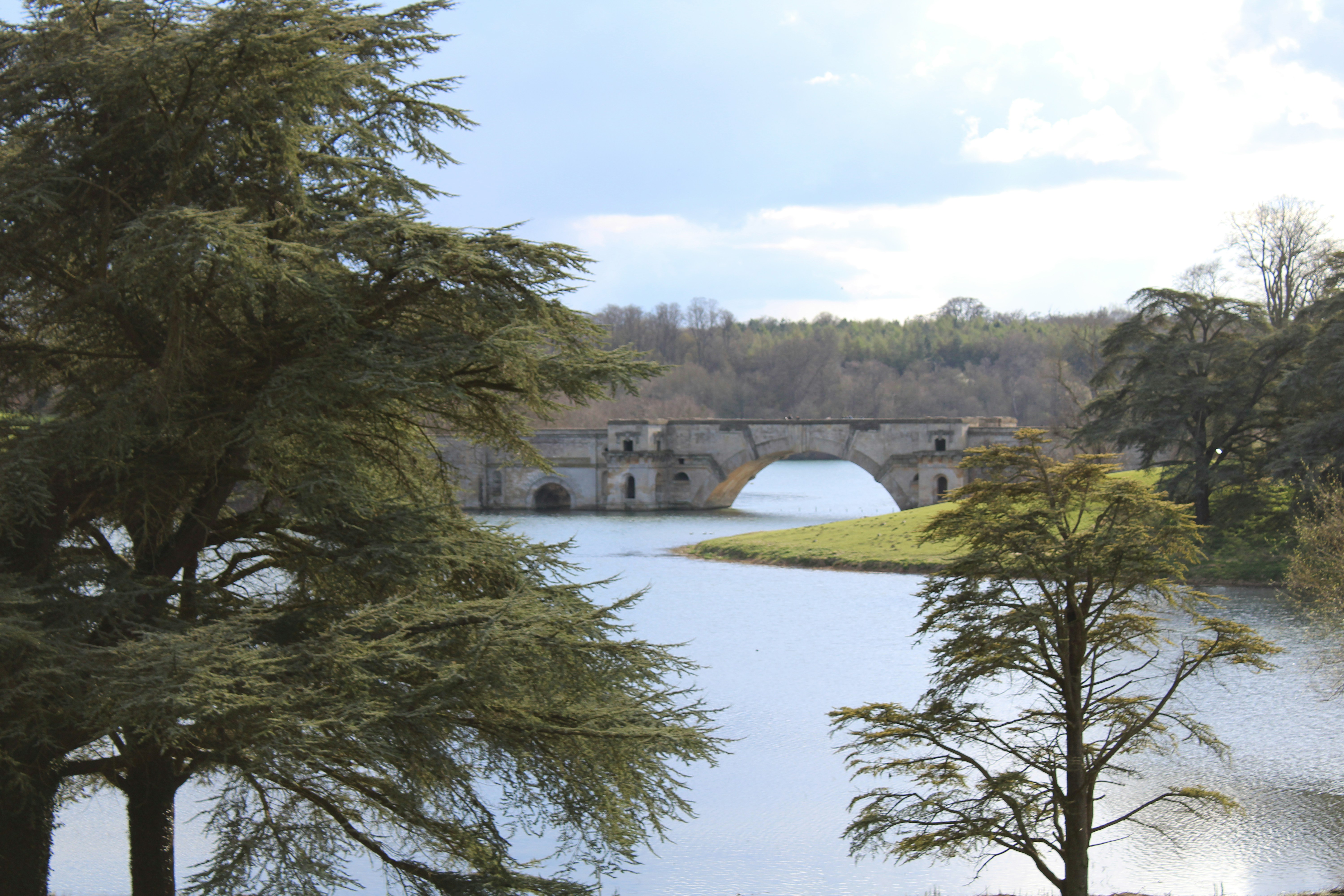 Arches and Pines: A Quiet River Bridge Portrait