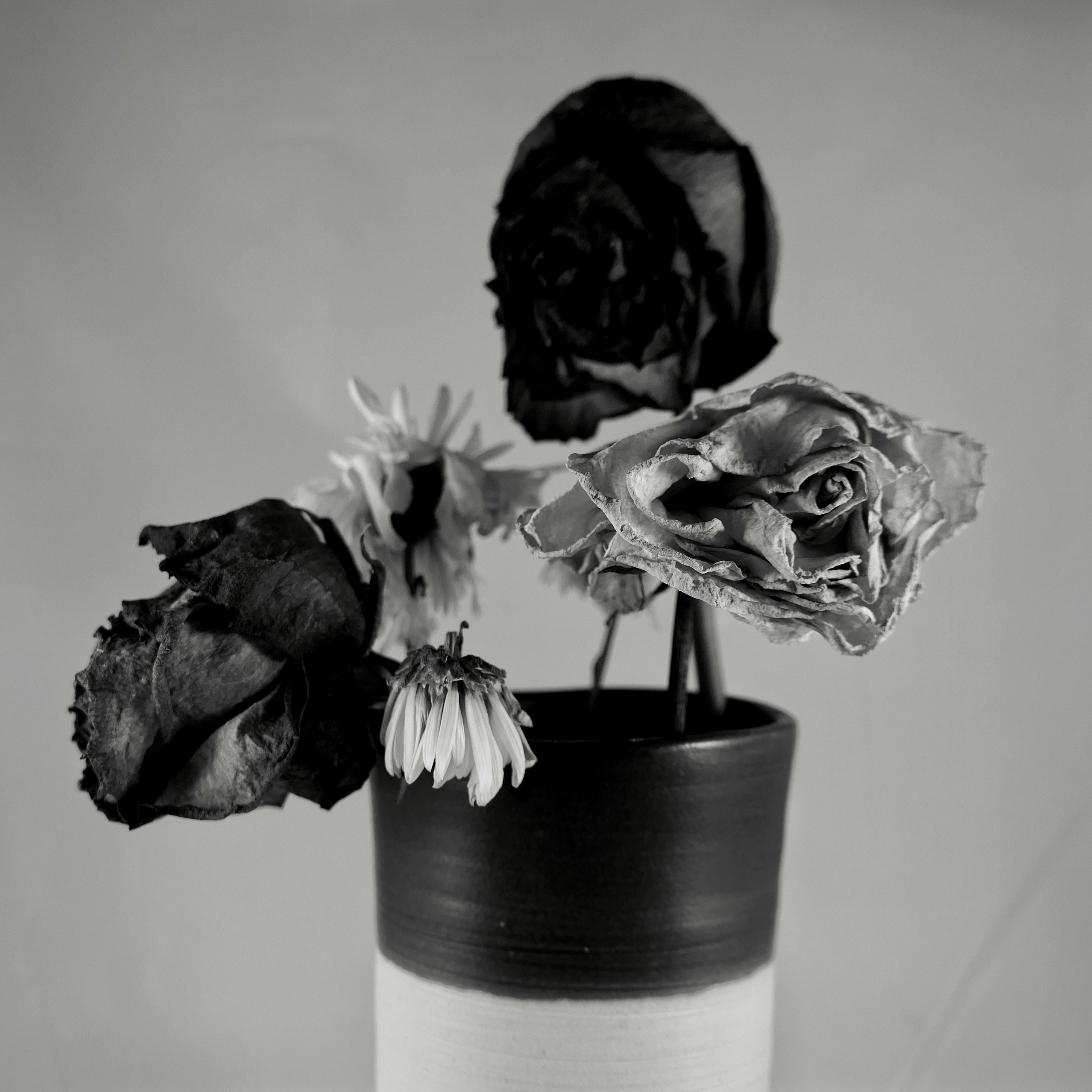 Monochrome Bouquet: Time-Worn Roses in a Two-Tone Vase