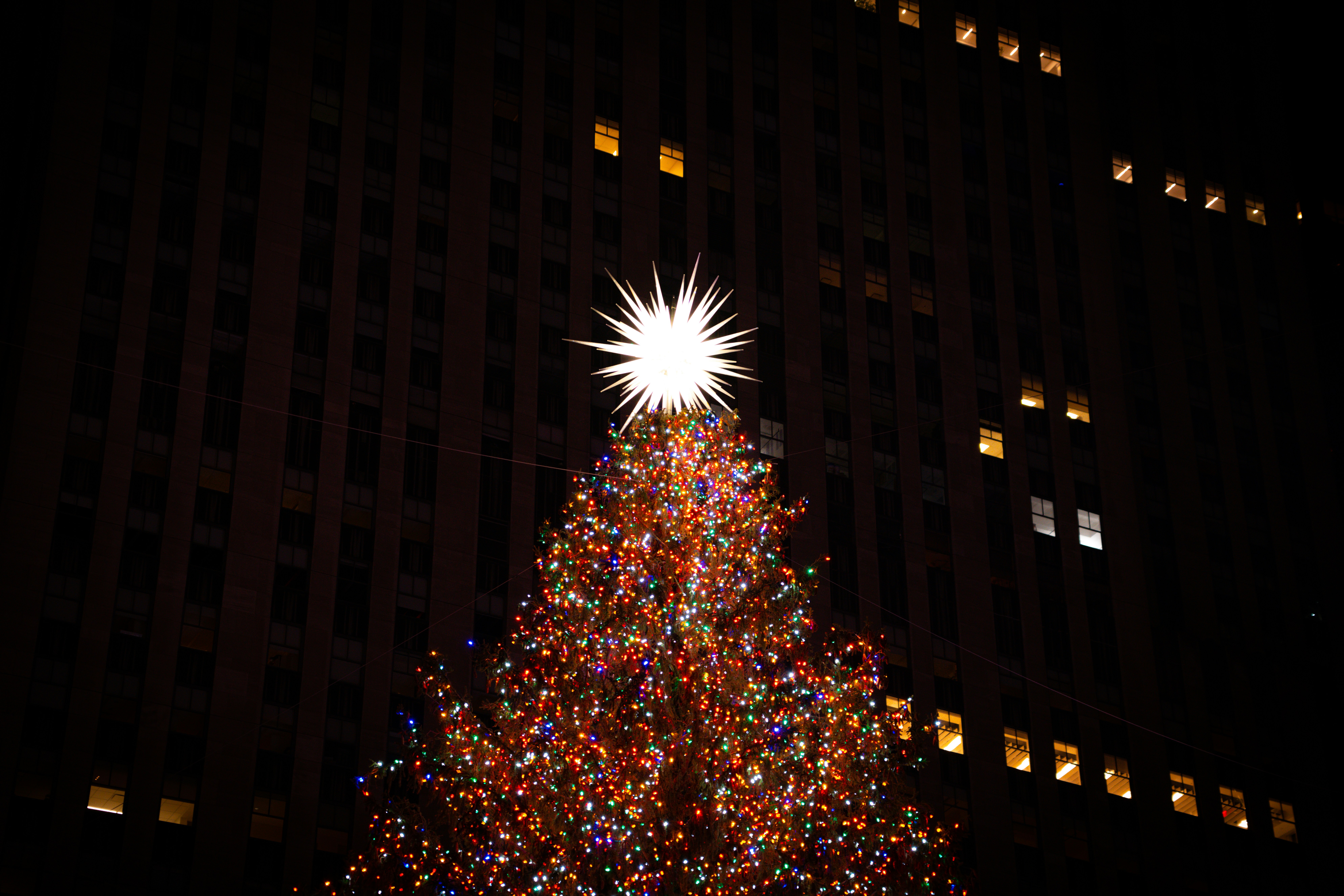 A large lighted christmas tree in front of a building photo – Free ...