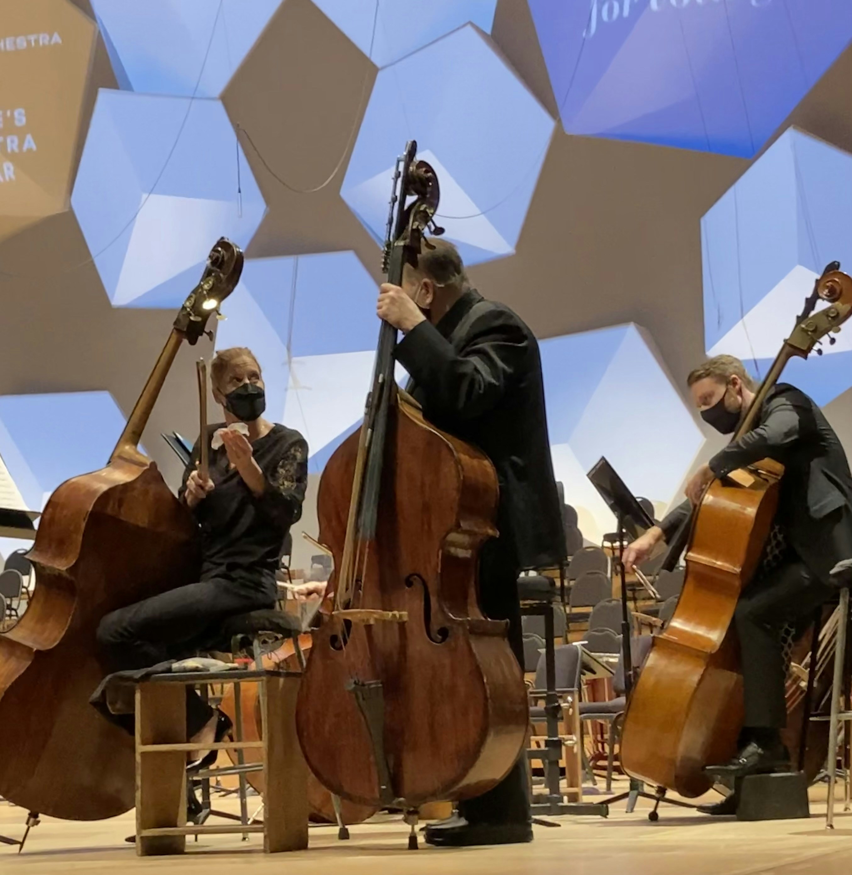 A group of men playing musical instruments on stage photo – Free Human ...