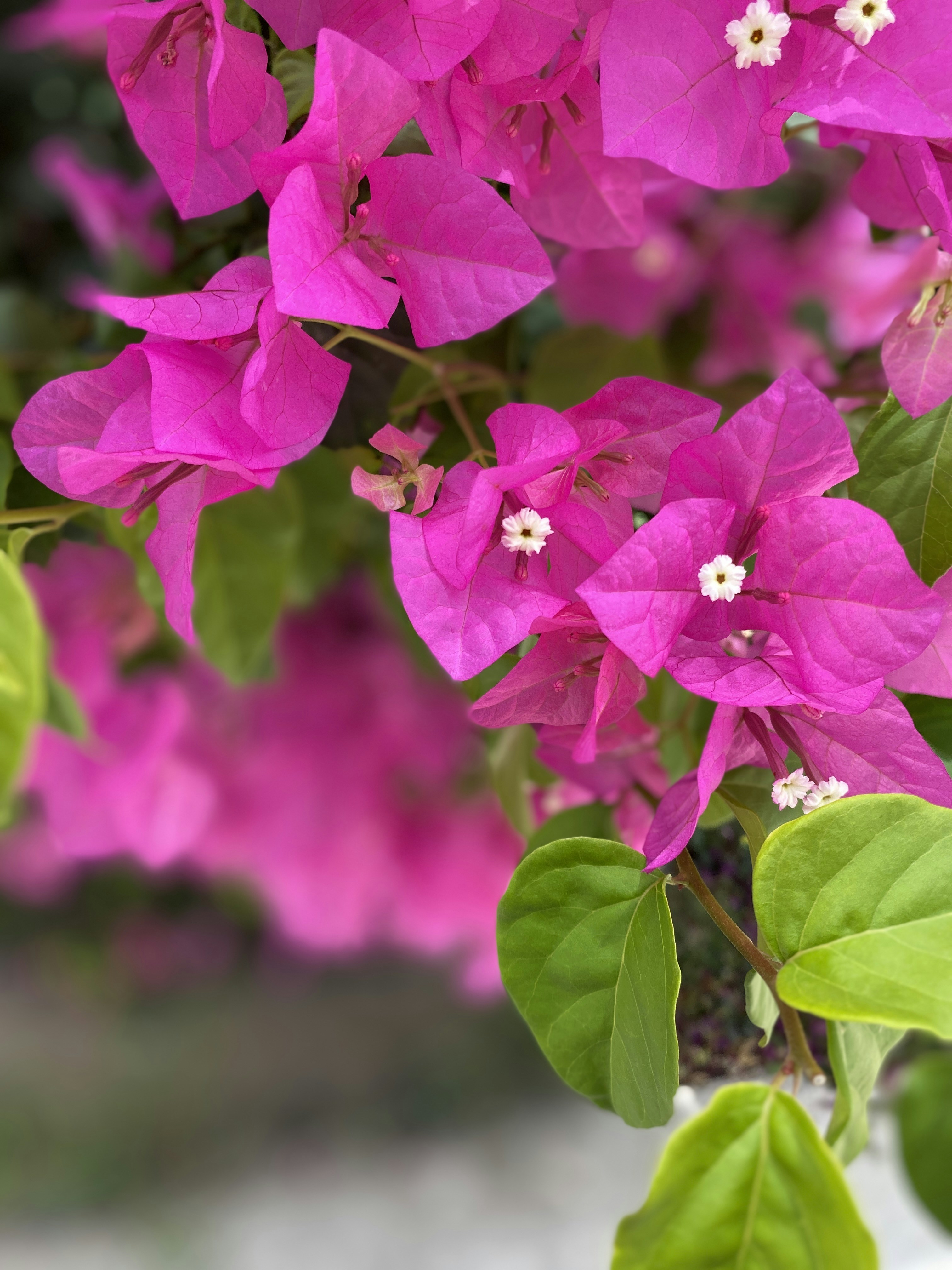 Saba Foghani (@sabasw_) | Unsplash Photo Community