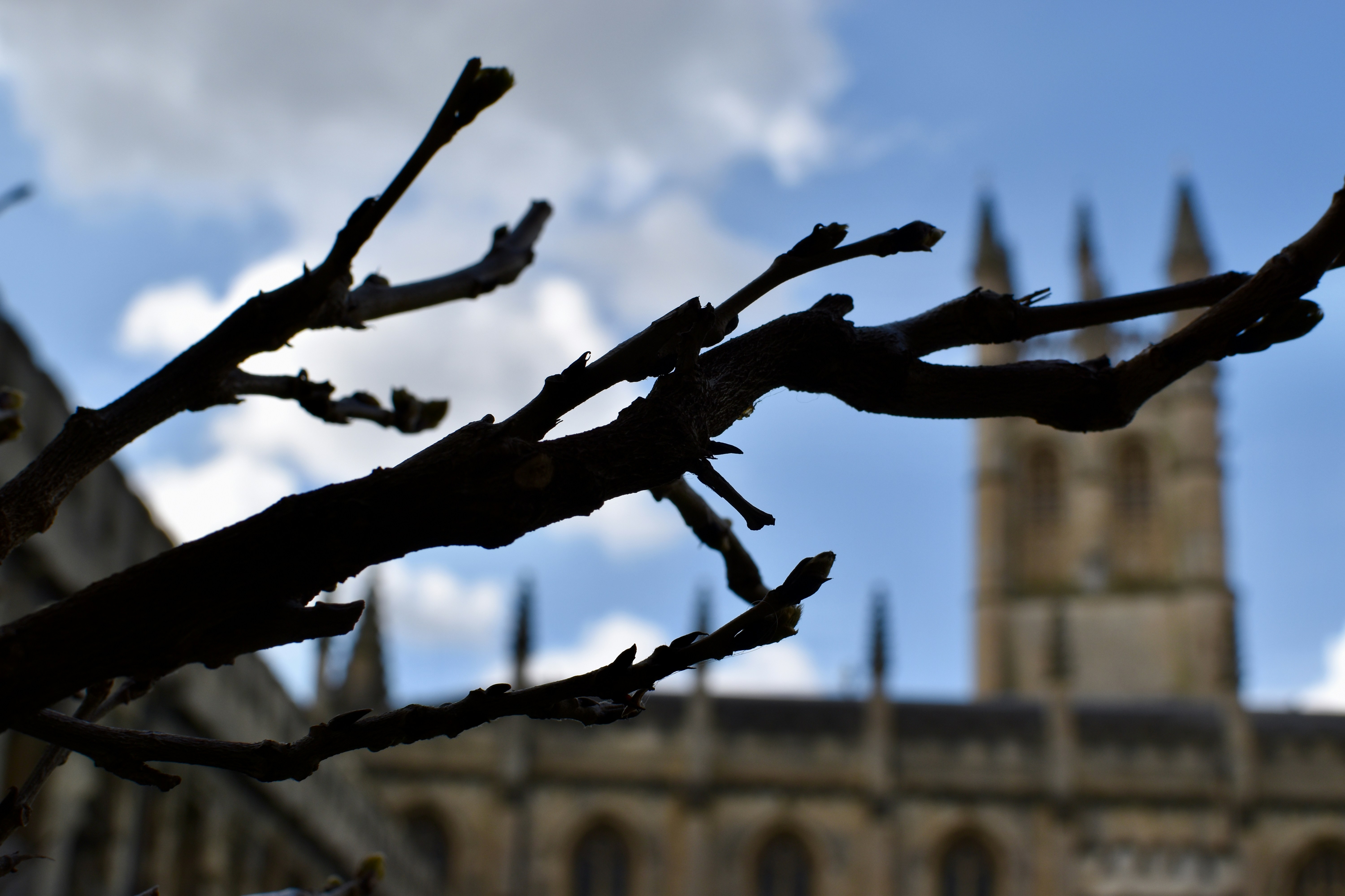 Gothic Silhouettes Against a Clouded Sky