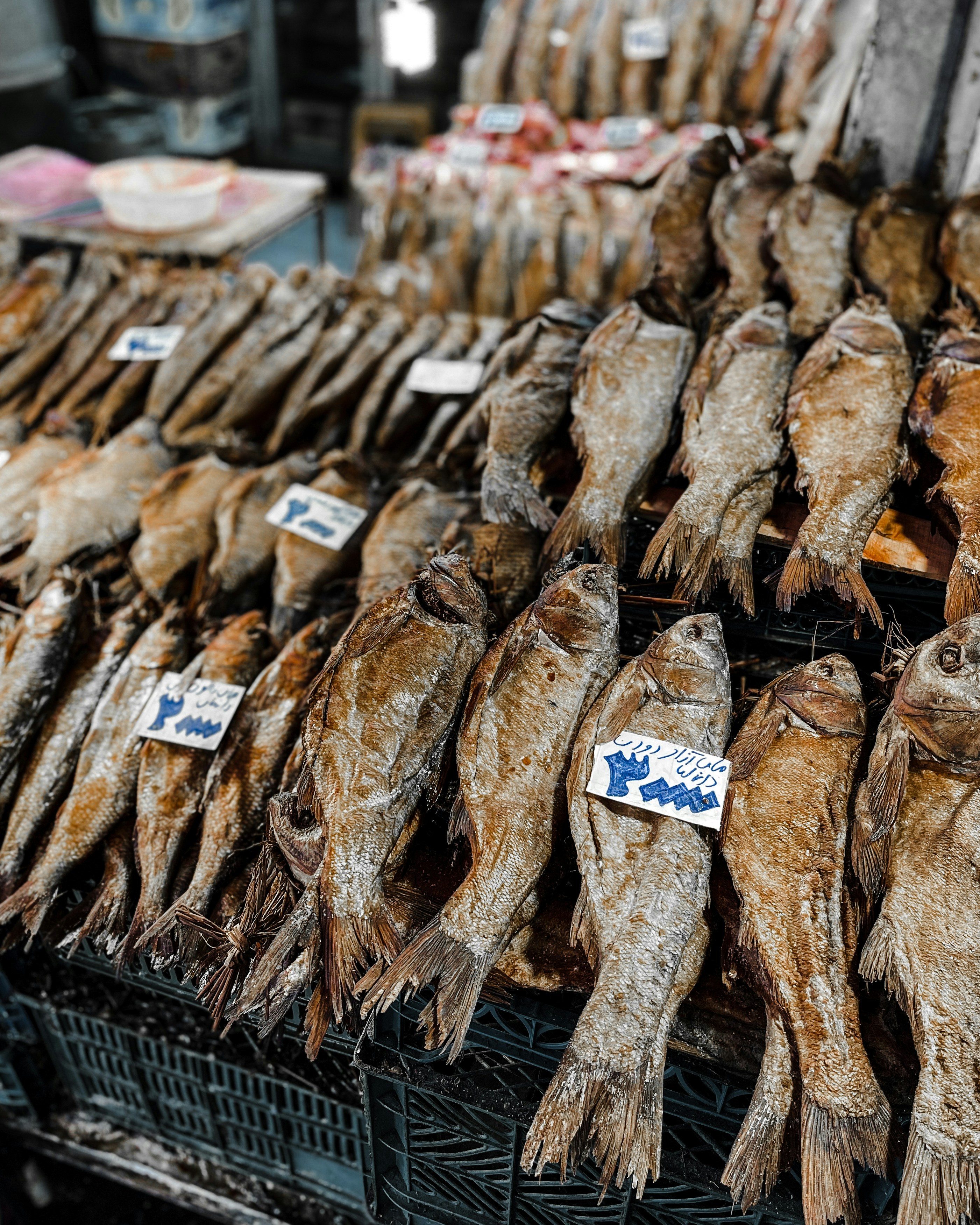 A vibrant display of dried fish at a bustling market, showcasing various species with price tags attached. The arrangement highlights the diversity and freshness of the catch.