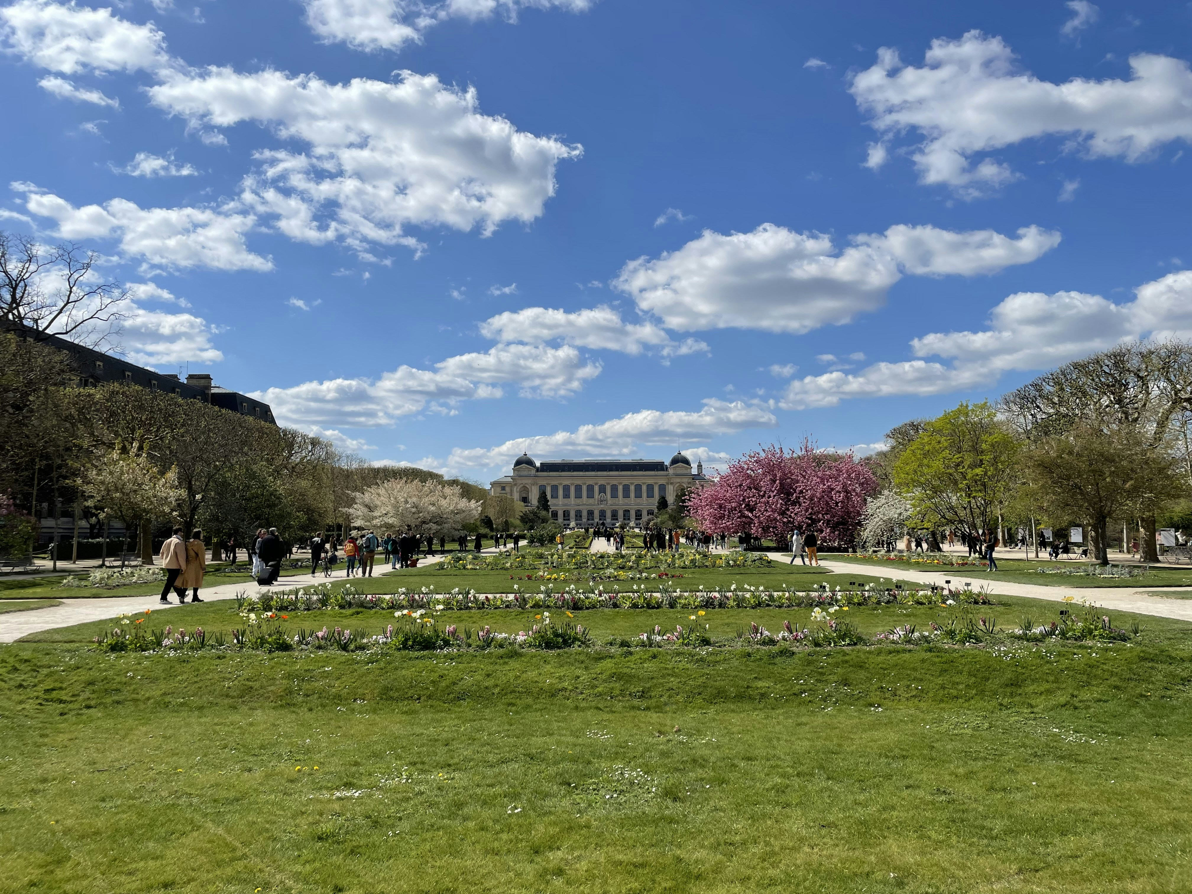 Lush garden pathways with blooming trees and vibrant flowers under a bright blue sky with scattered clouds.