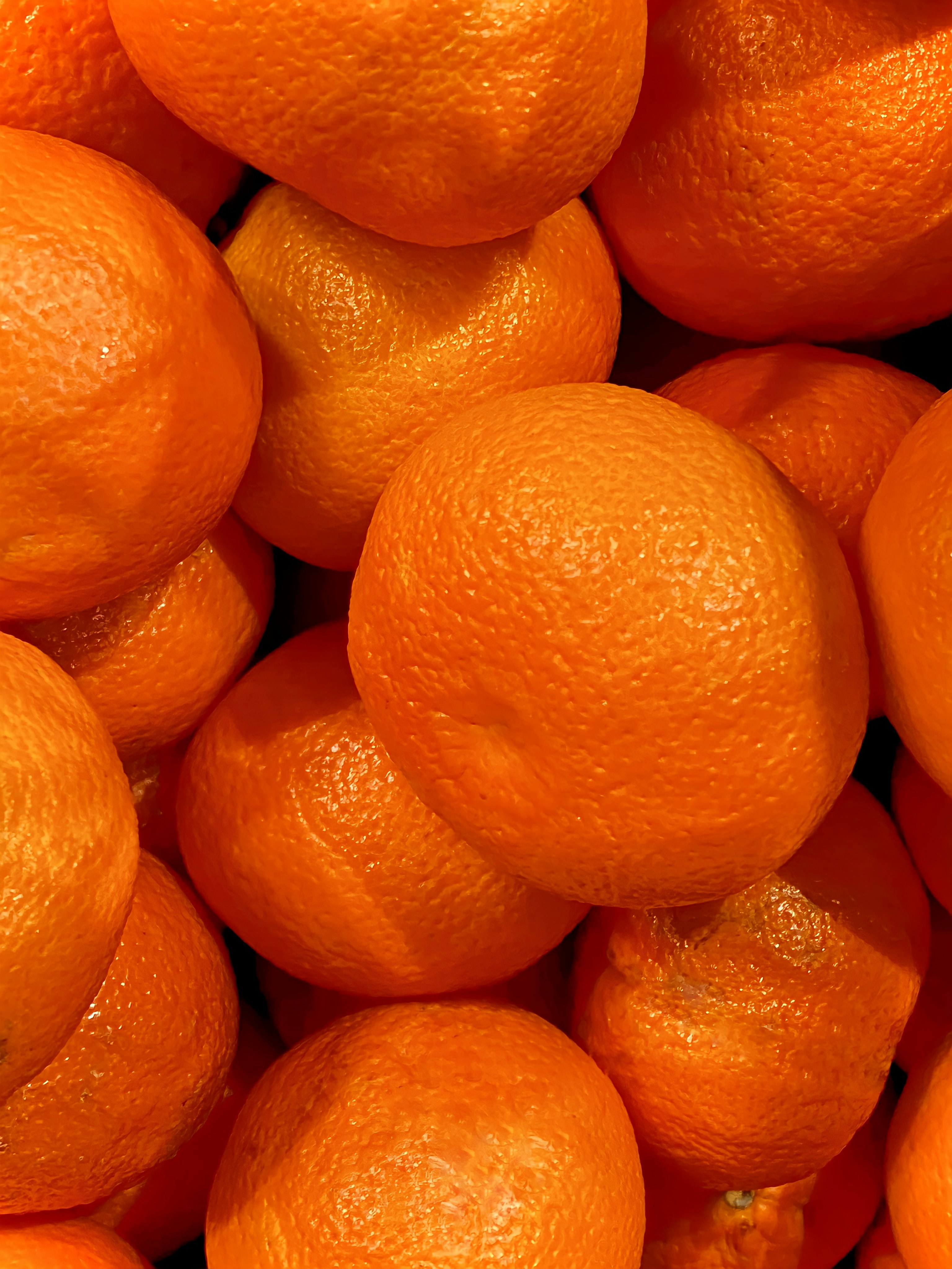 A pile of oranges sitting next to each other photo – Free Food Image on ...