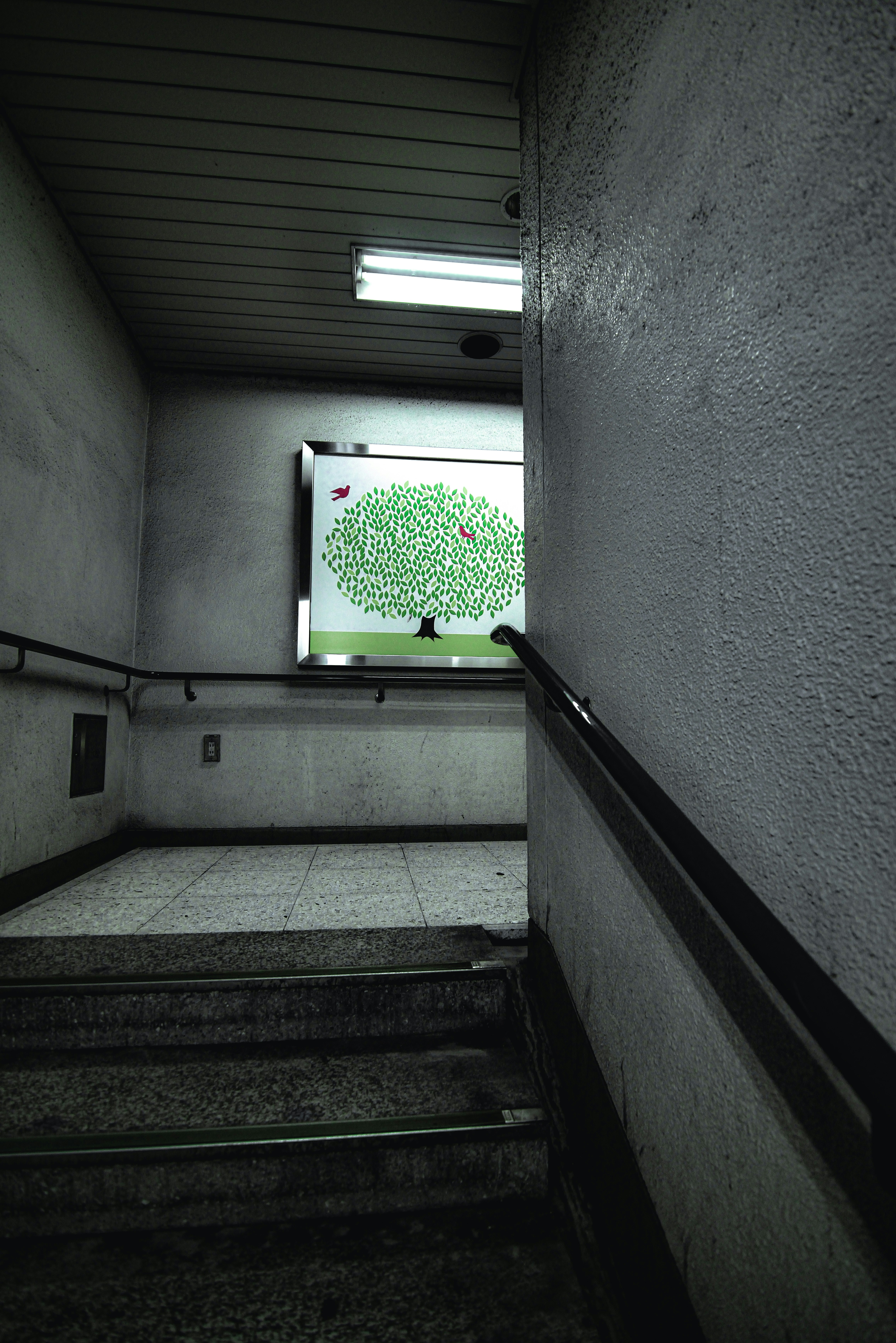 Trees drawn in a gray city