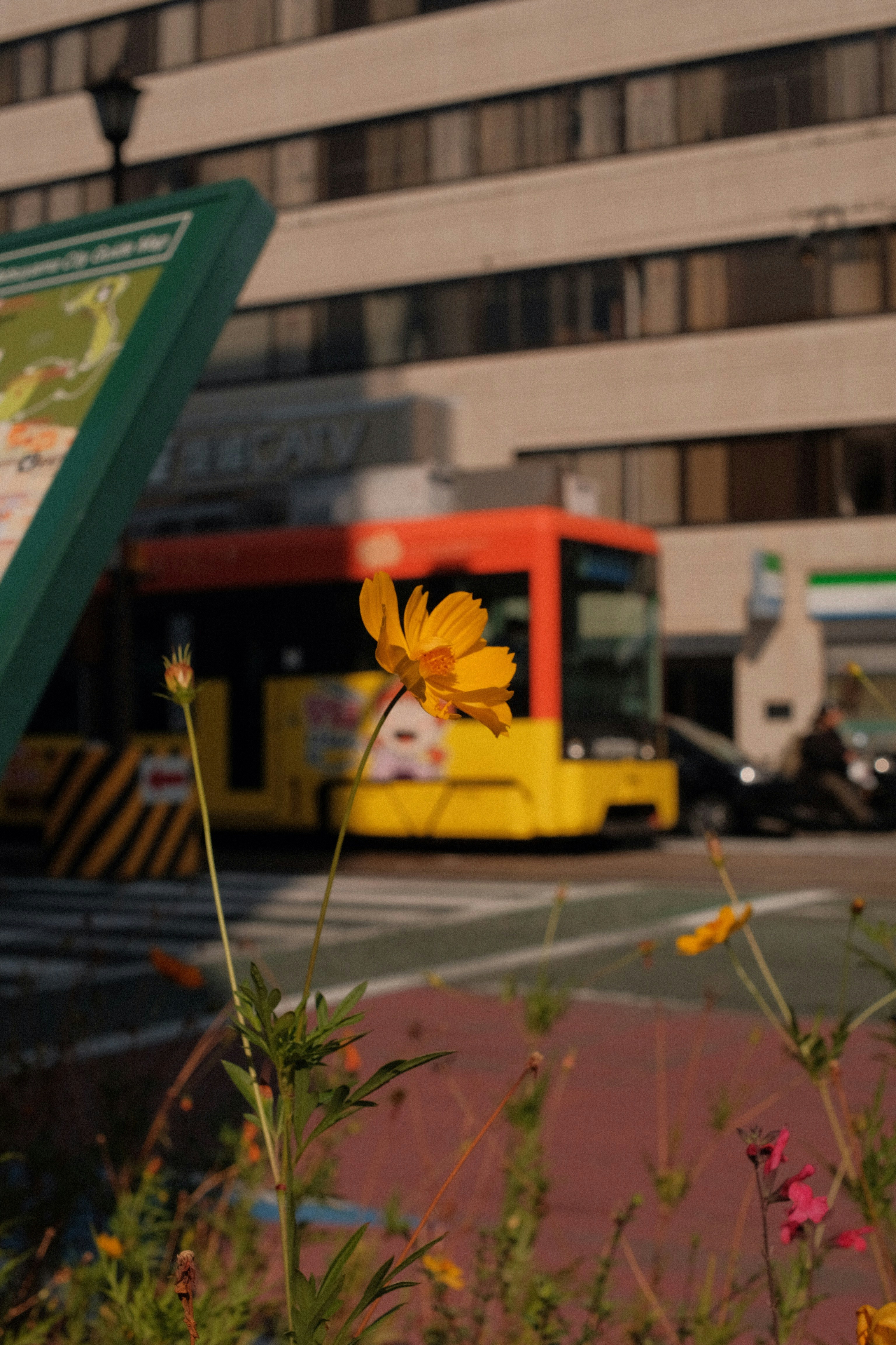 A yellow bus driving down a street next to a tall building photo – Free ...