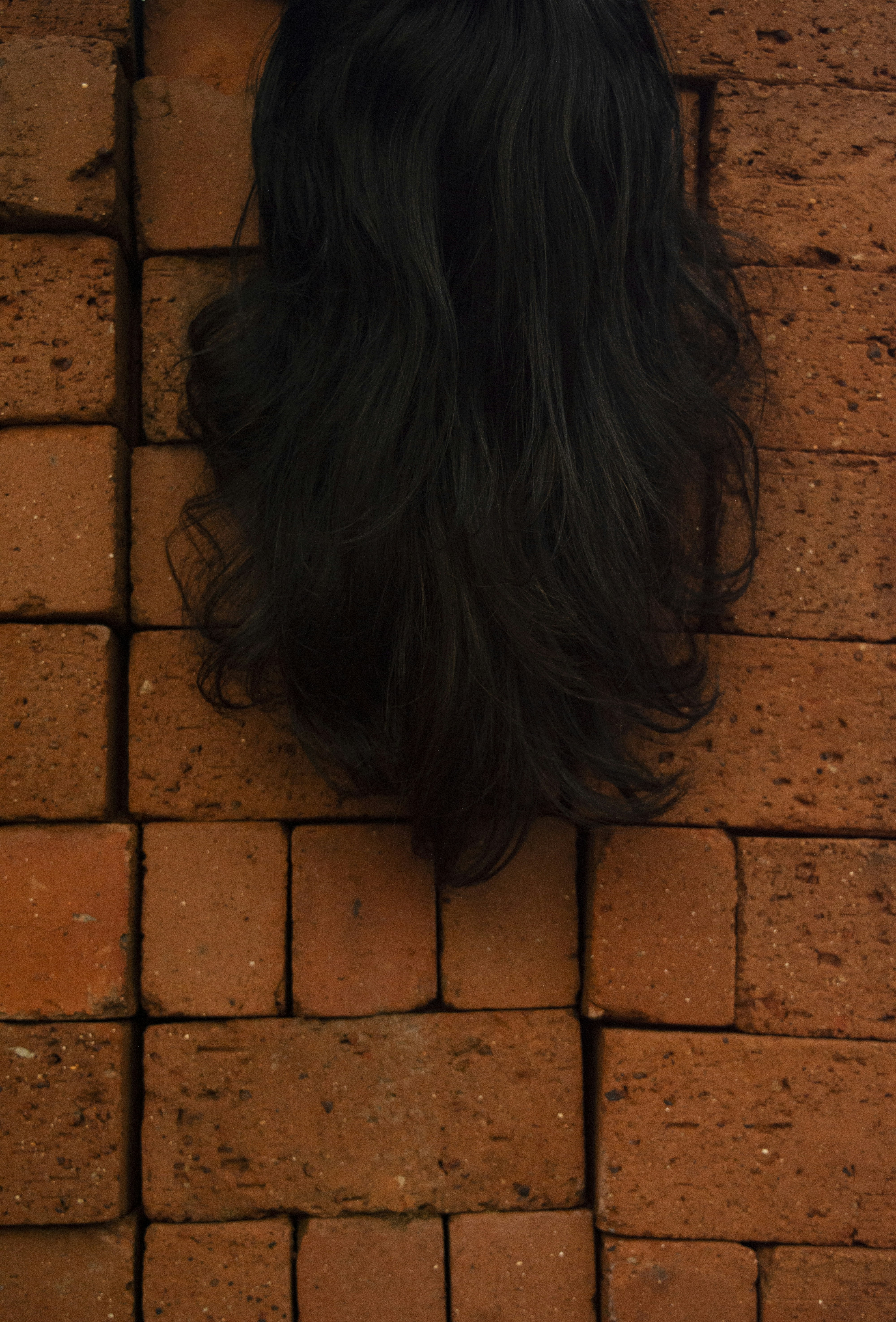 Long, dark hair drapes over a backdrop of stacked terracotta bricks, creating a striking juxtaposition of textures. The arrangement highlights the interplay between organic and inorganic elements.