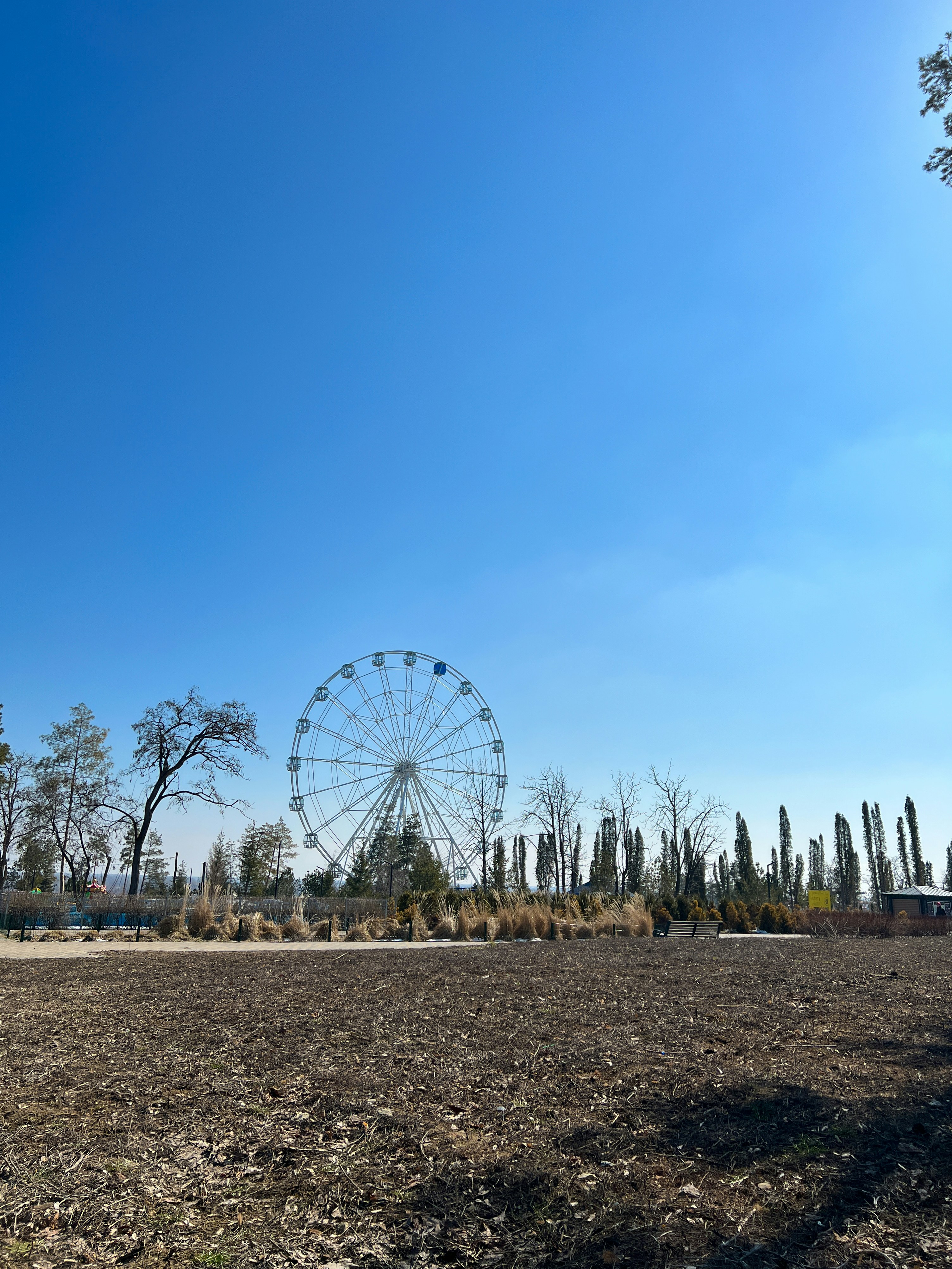 Ferris Wheel on the Horizon Under a Pristine Blue Sky