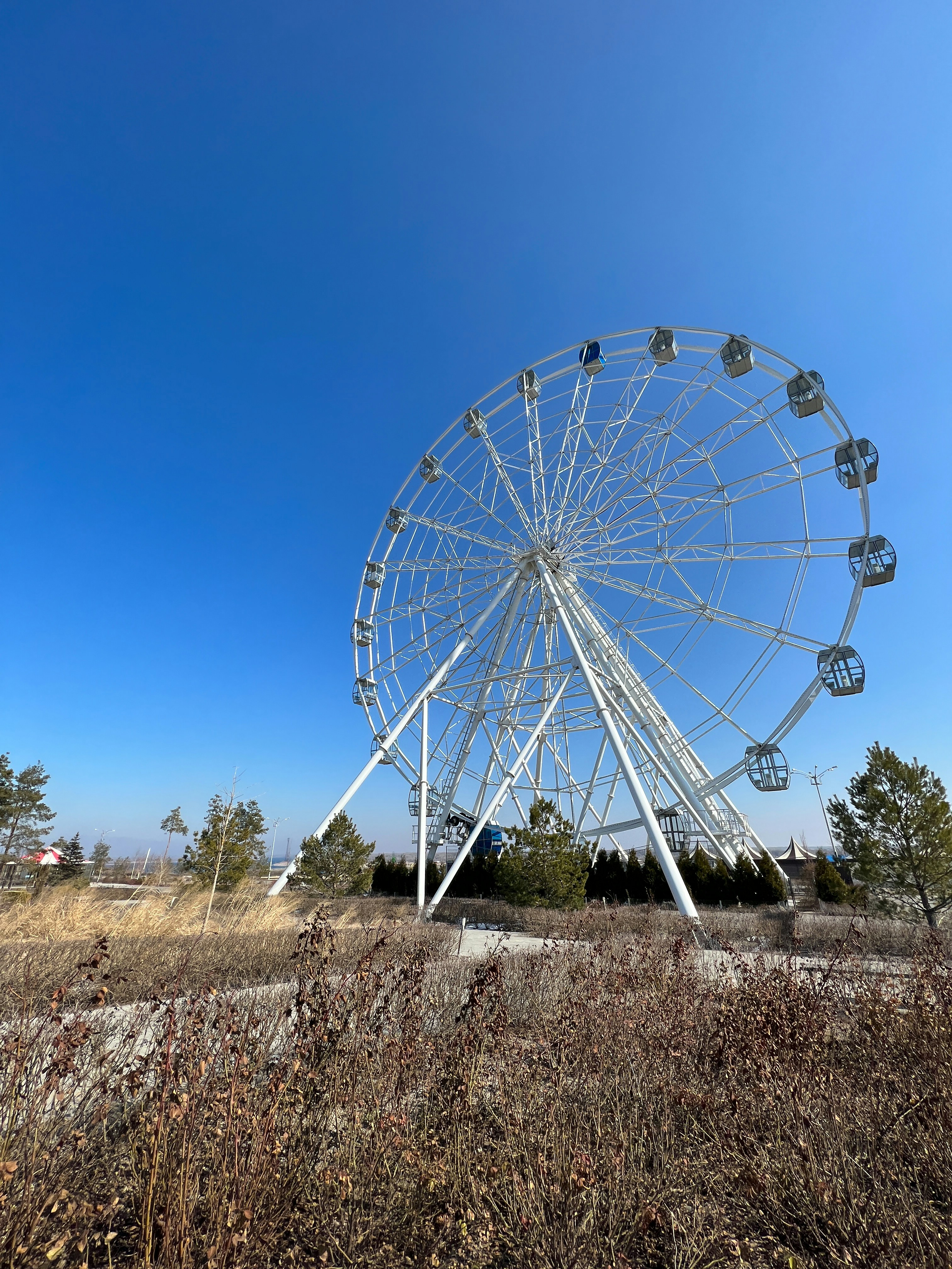 Ferris wheel in the "Central Park of culture and Recreation" Volgograd.